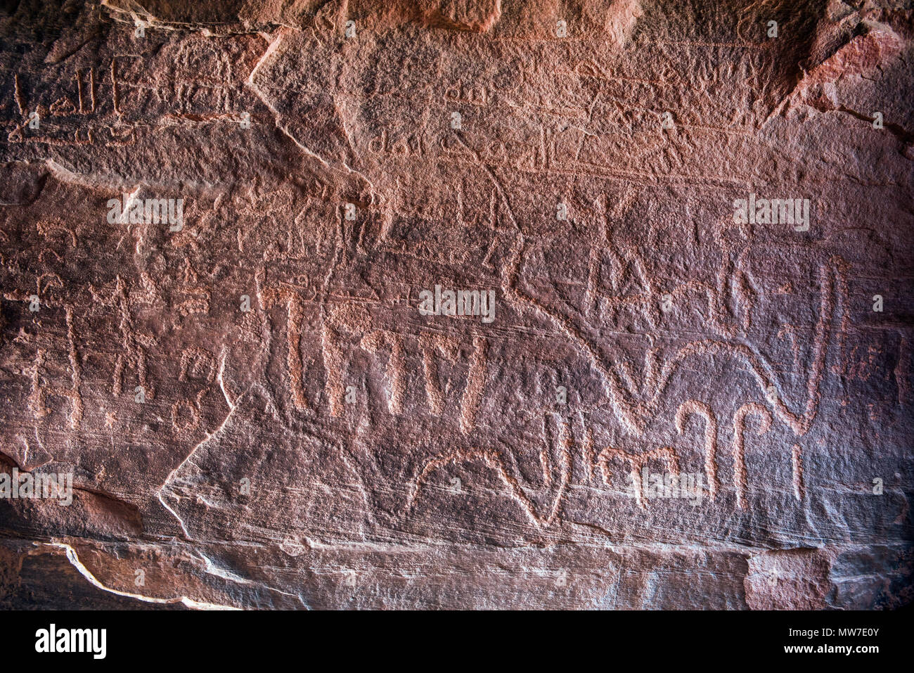 Ancient Nabatean and Thamudic inscriptions on rock representing camel ...