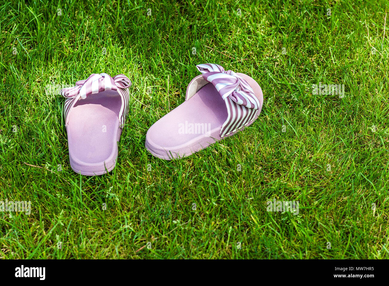 Pink slipper on the green grass in garden Stock Photo - Alamy