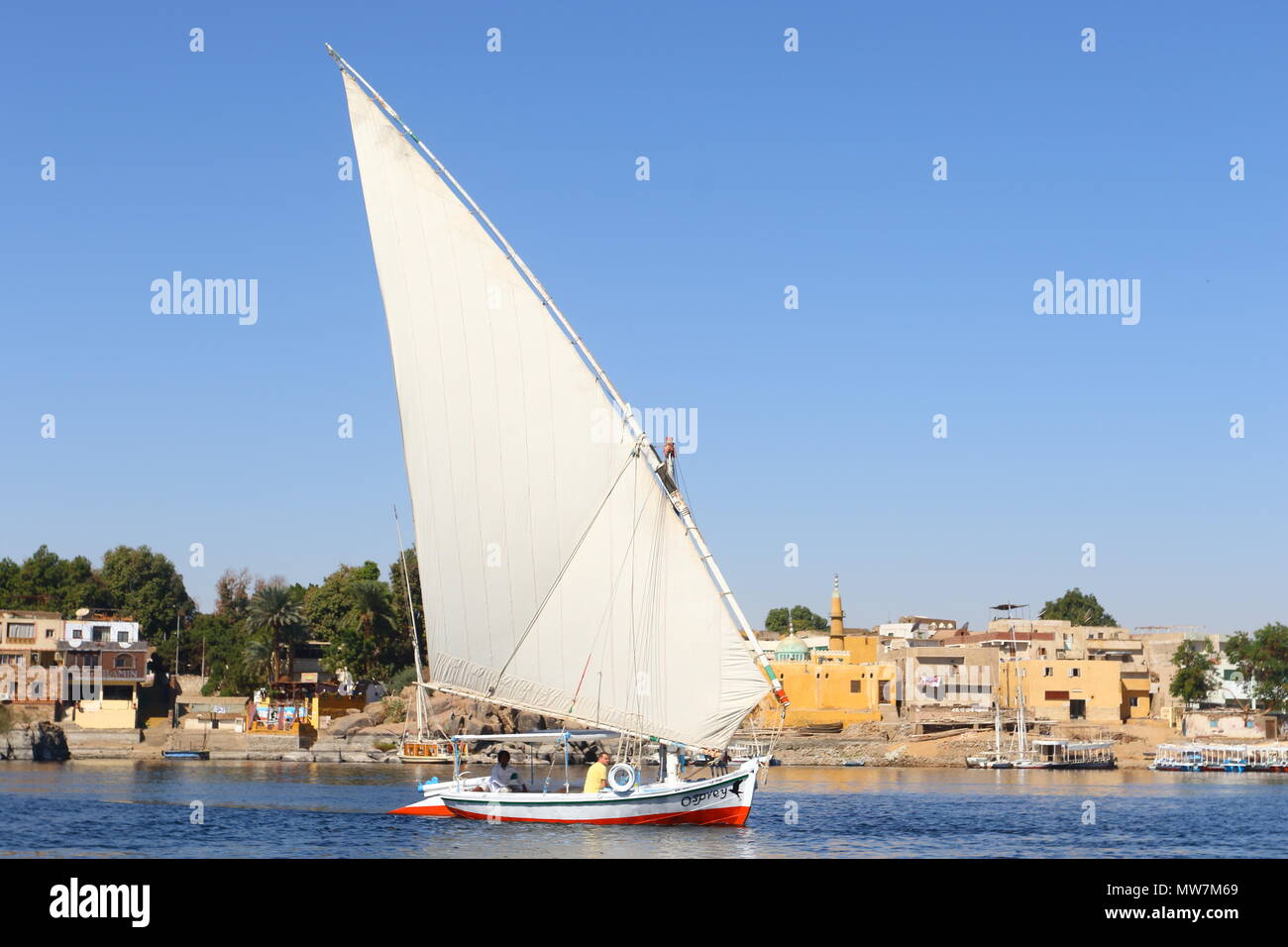 Traditional felucca sailing boat crossing Nile river at Aswan Stock ...