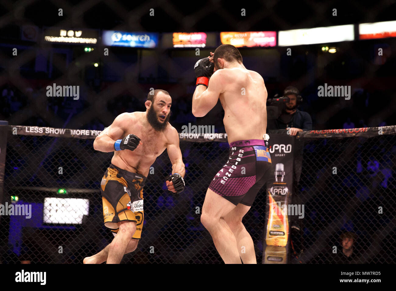 Pascu ion hi-res stock photography and images - Alamy