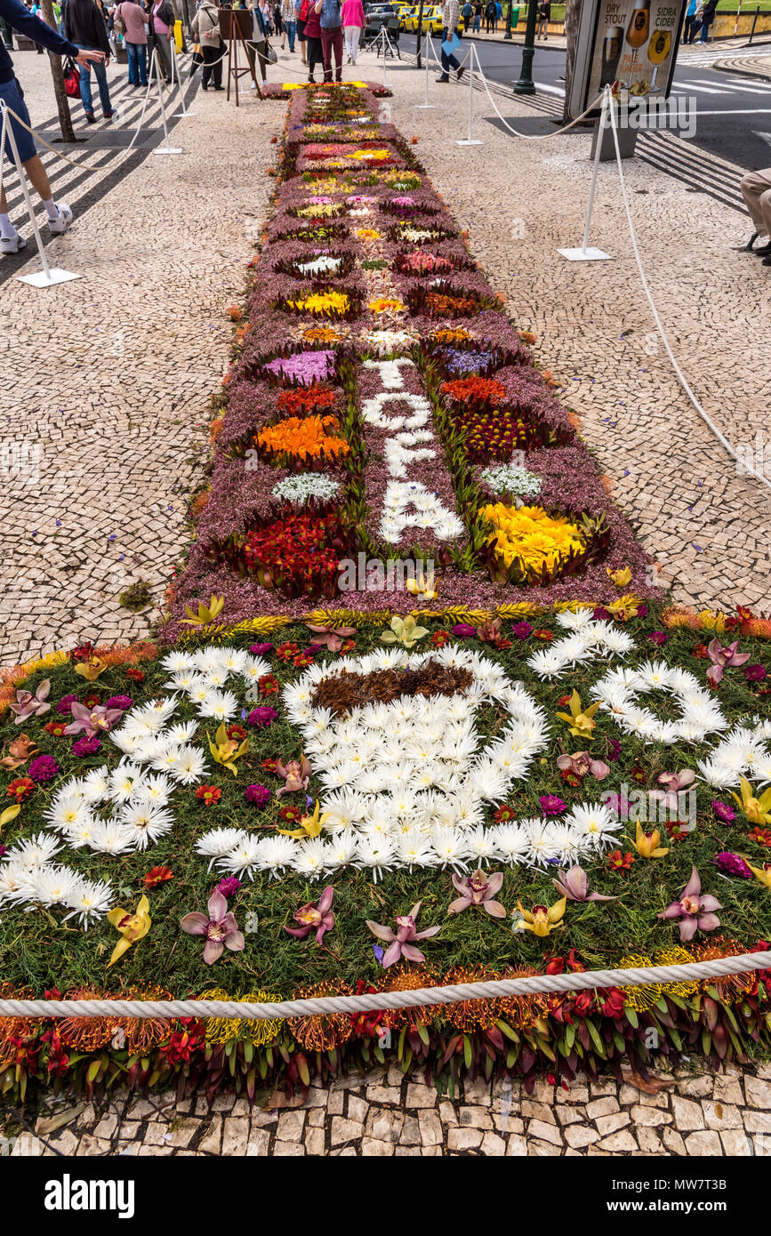 Pavement 'Flower carpet' displays during Madeira Flower Festival Stock ...