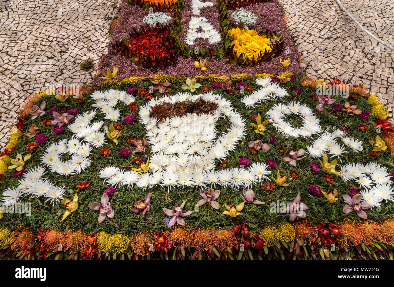 Pavement 'Flower carpet' displays during Madeira Flower Festival Stock ...