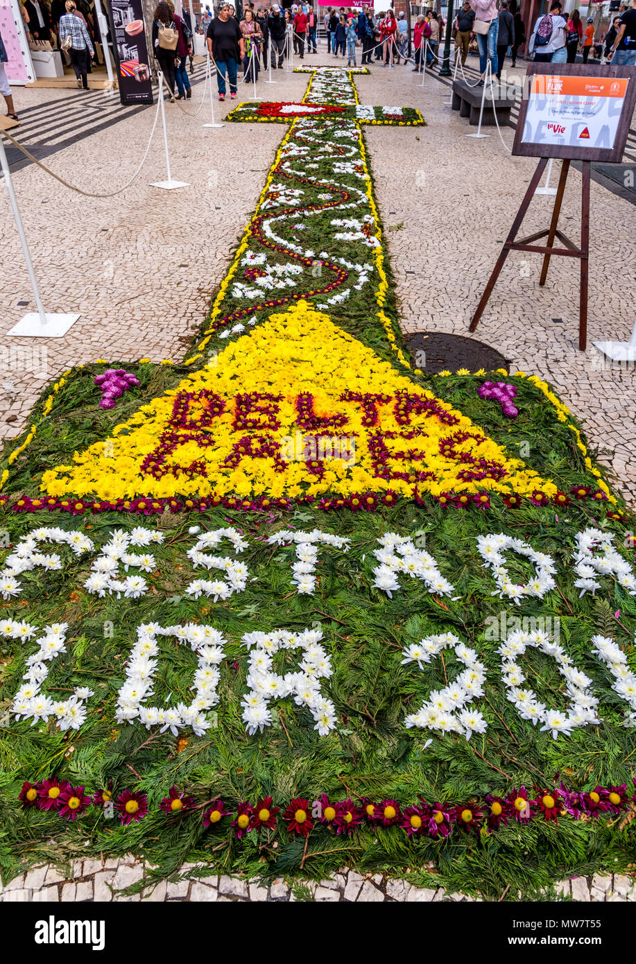 Pavement 'Flower carpet' displays during Madeira Flower Festival Stock ...