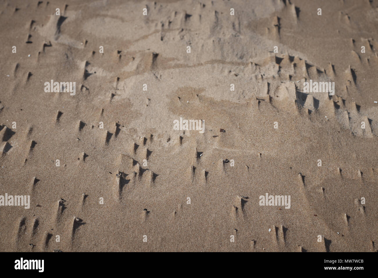 Closeup of sand pattern of a beach in the summer Stock Photo - Alamy