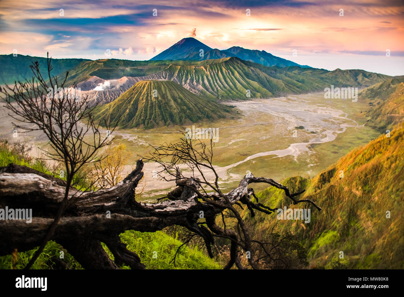 Beautiful sunrise viewpoint with a tree Mount Bromo, East Java ...