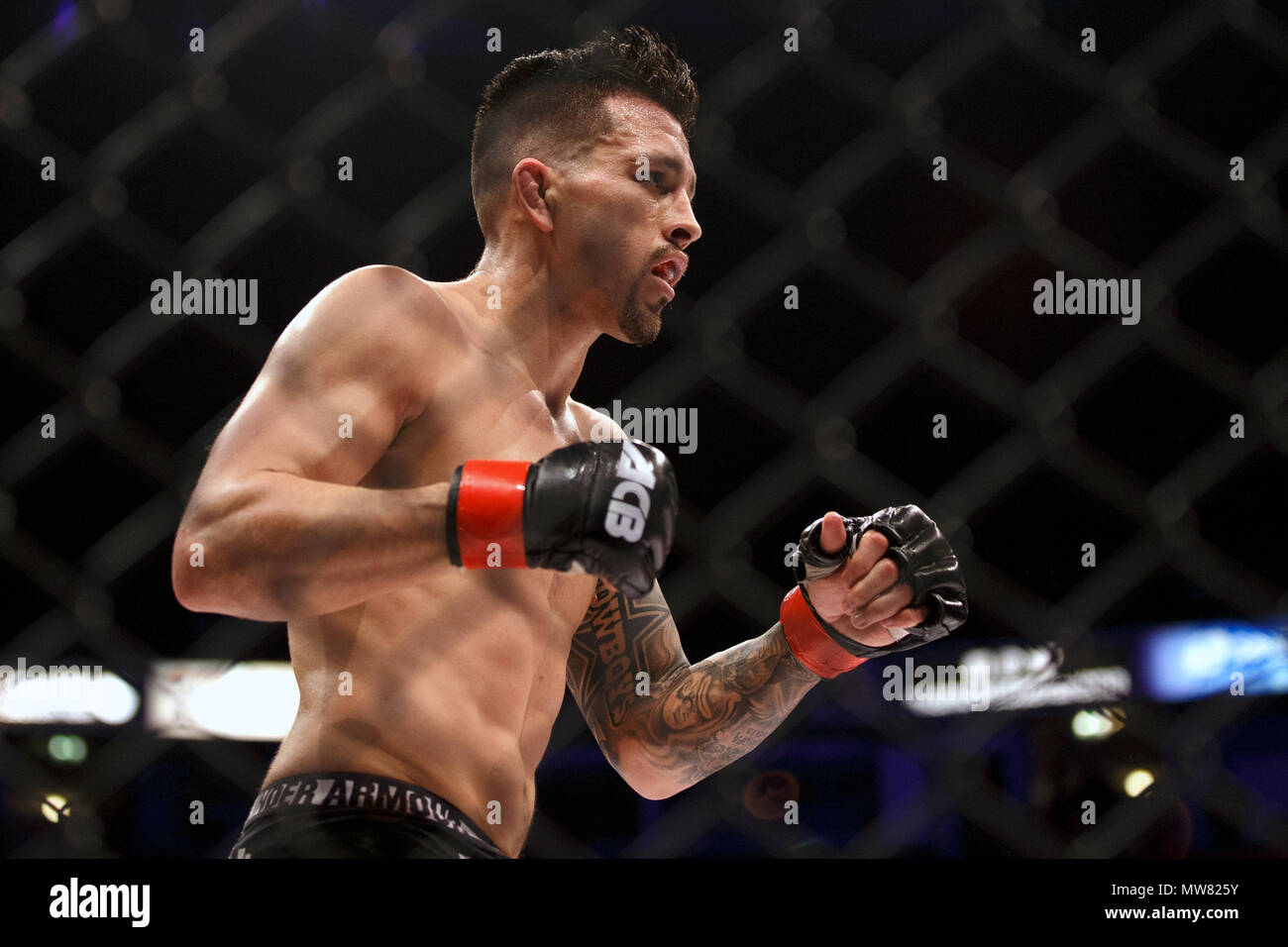 Aveles mma hi-res stock photography and images - Alamy
