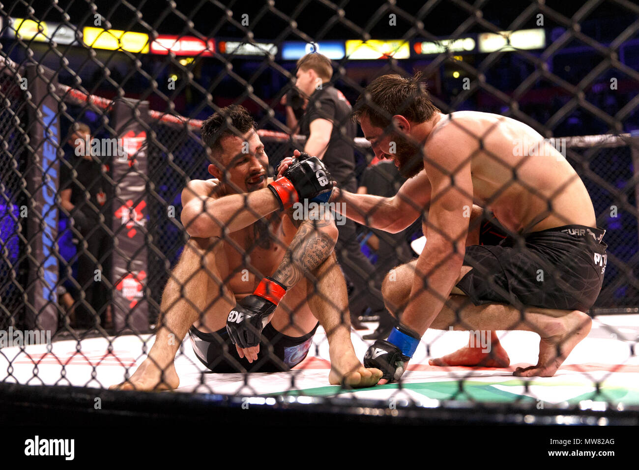 Mma cage hi-res stock photography and images - Alamy