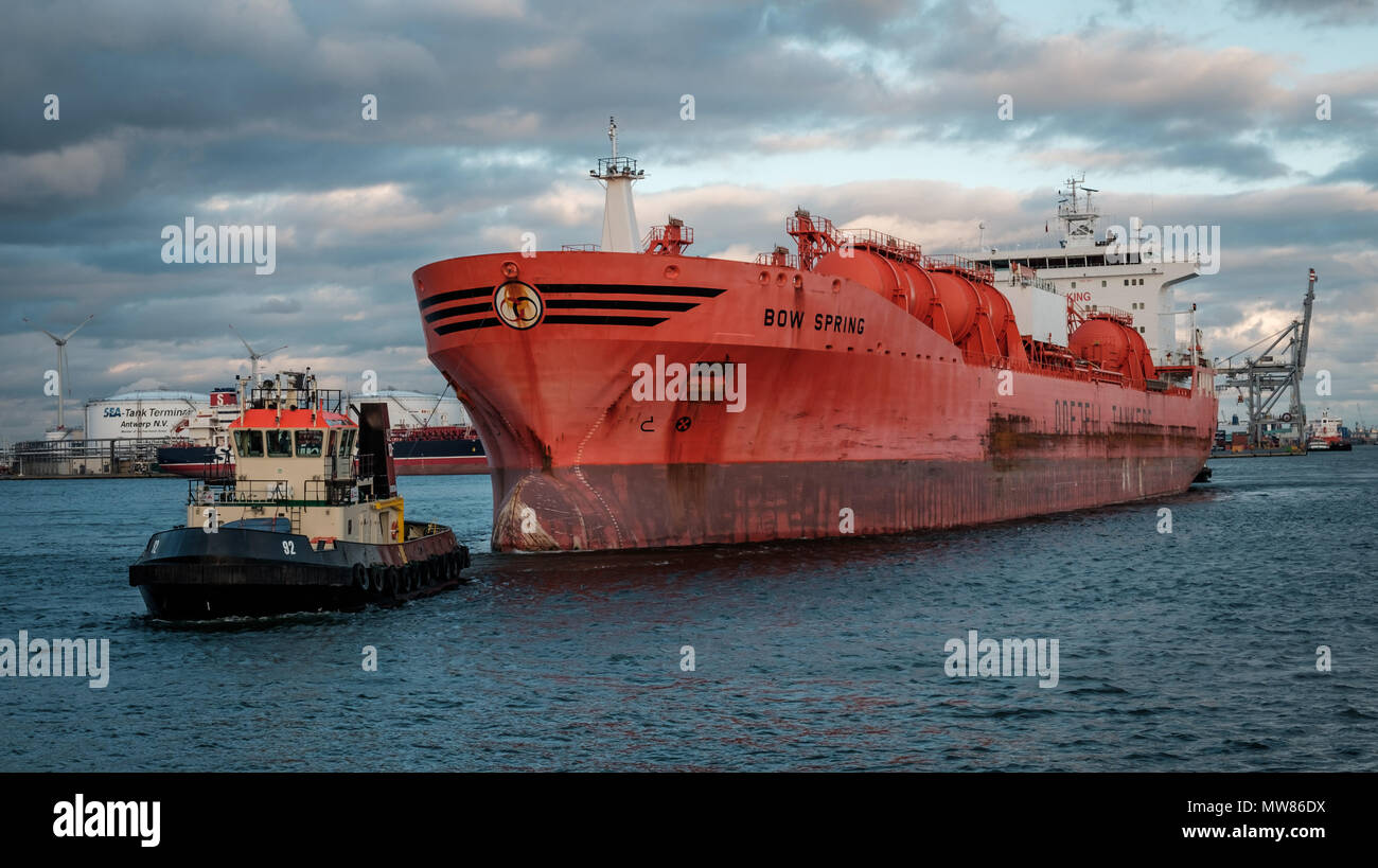 Oil tanker Bow Spring sailing towards the lock 'Boudewijnsluis' in the ...
