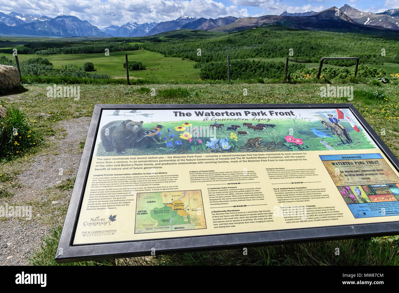 Scenic view of the Foothills and Rocky Mountains in southwest Alberta ...