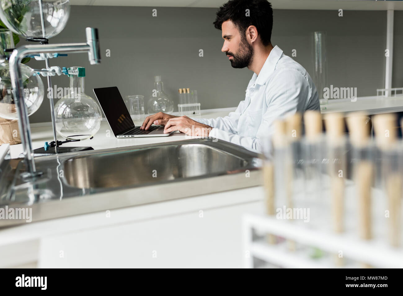 Side view of concentrated professional chemist using laptop in ...
