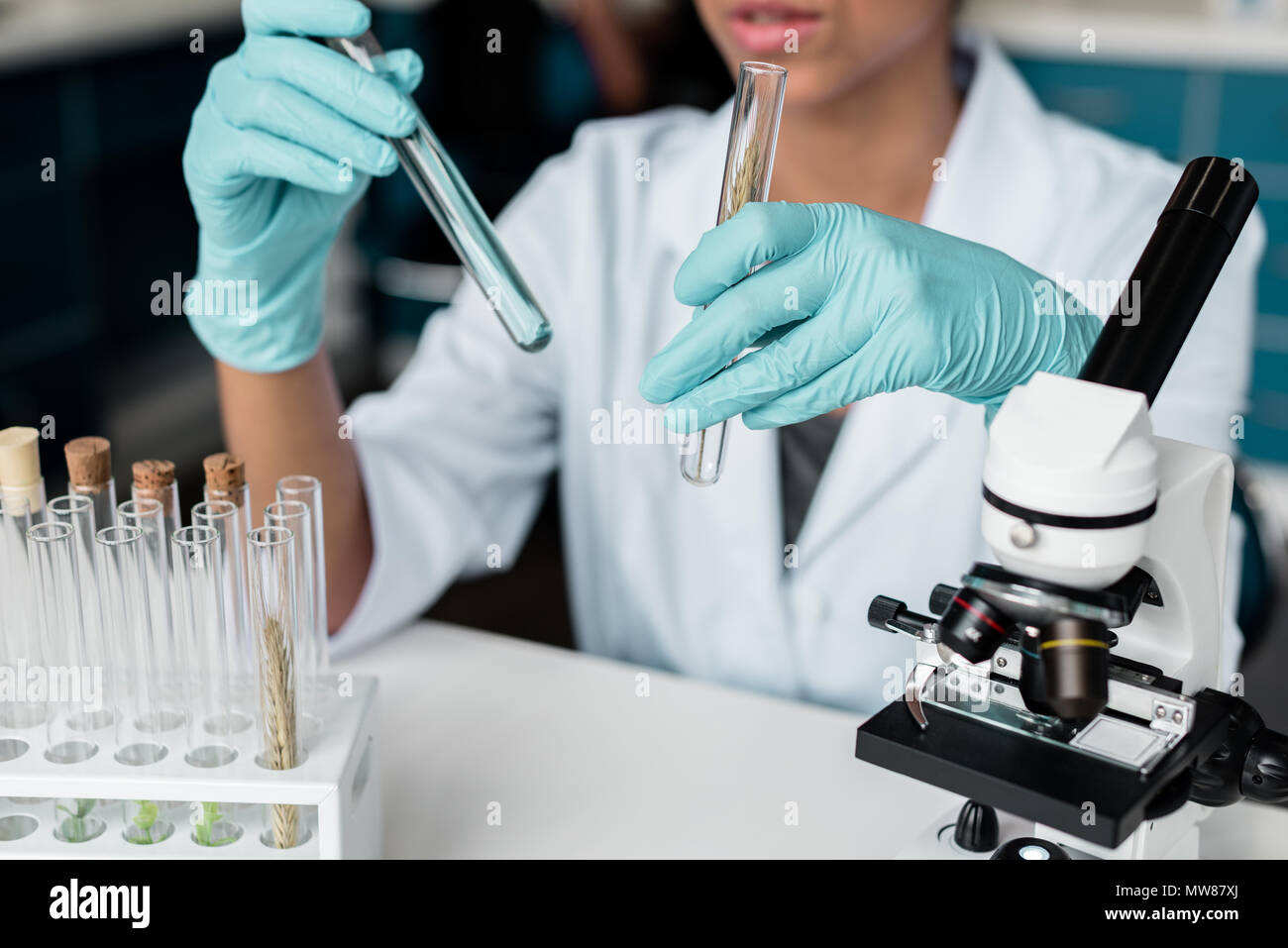Professional scientist in white coat examining test tubes while making ...