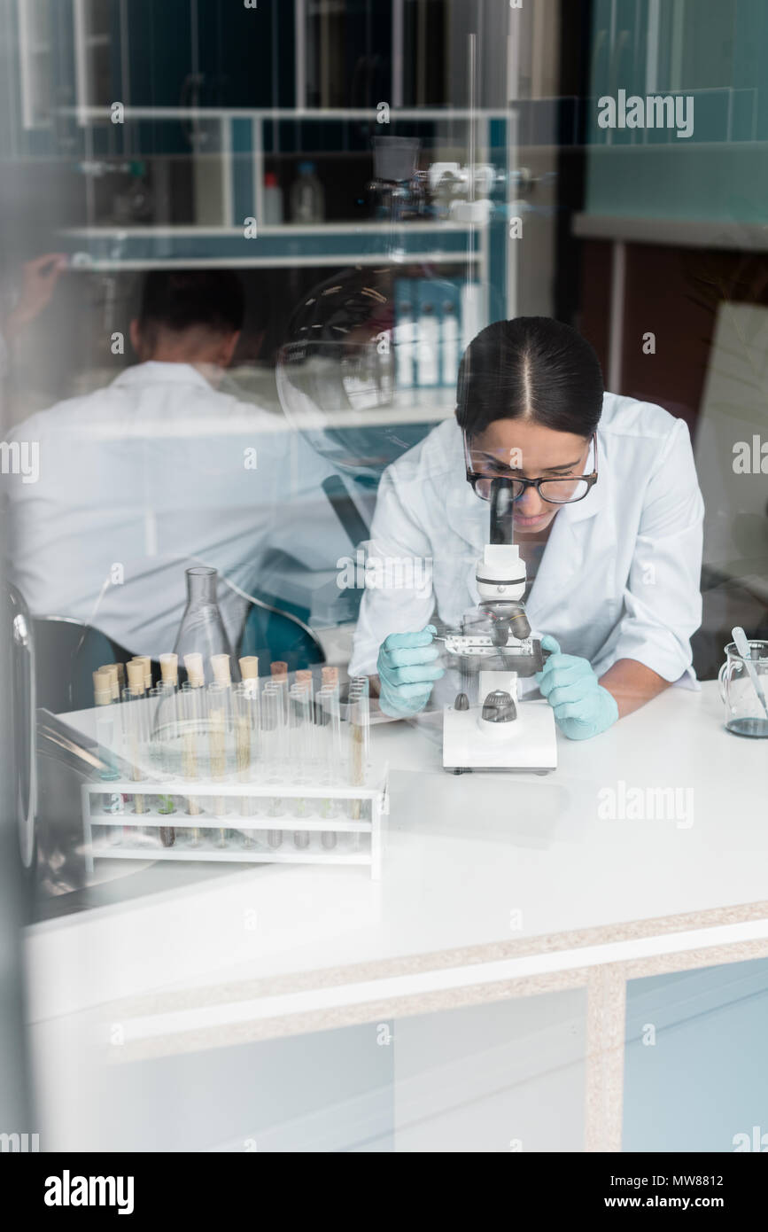 Young female scientist in eyeglasses working with microscope while ...