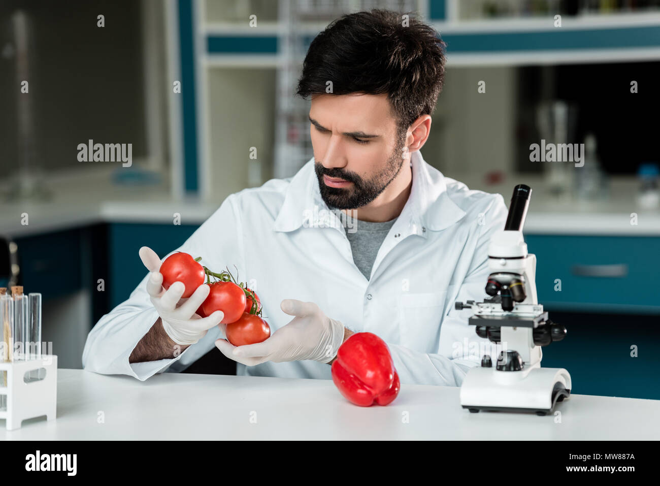 Bearded scientist in white coat working examining vegetables in ...