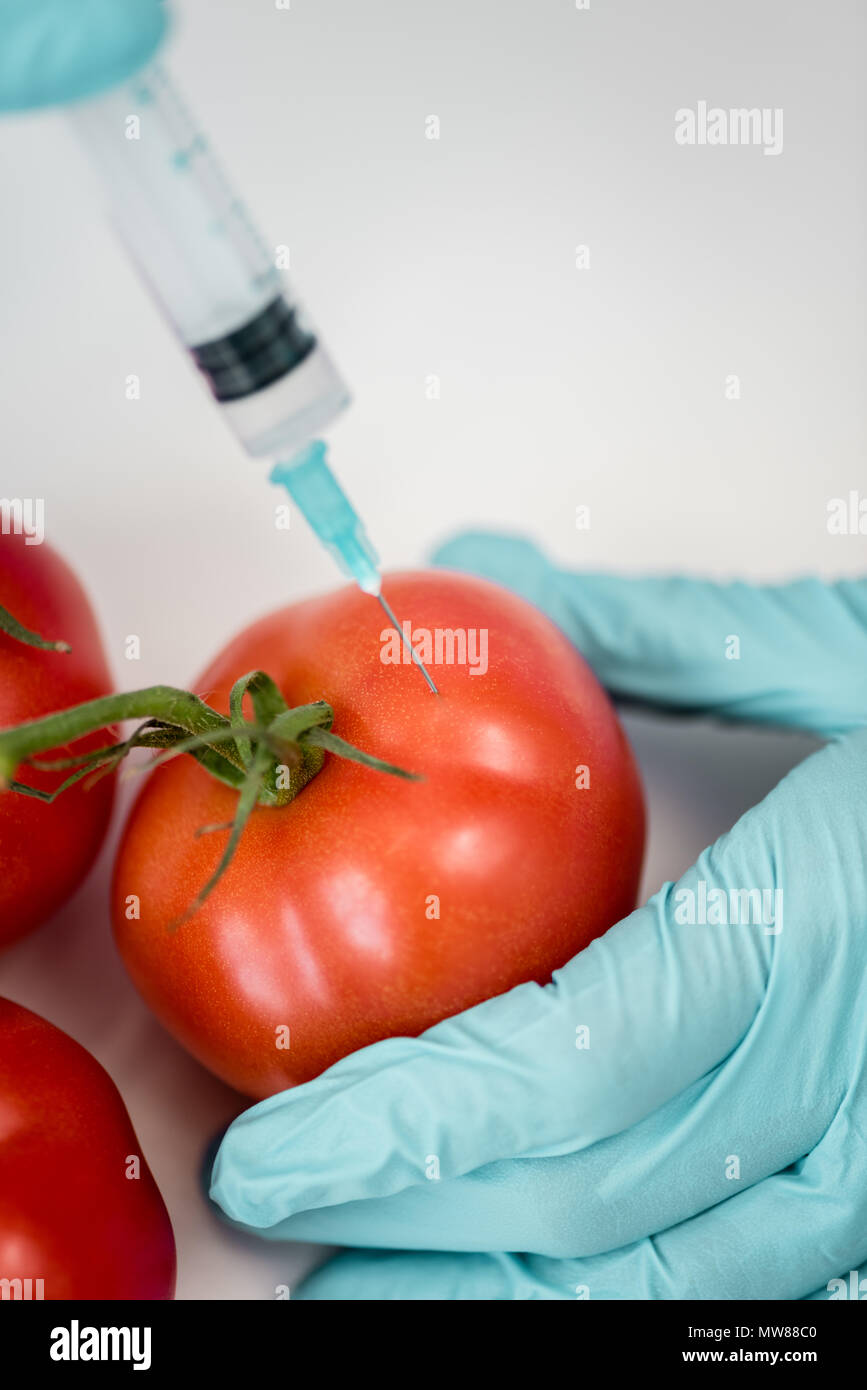 Tomatoes syringe injection hi-res stock photography and images - Alamy
