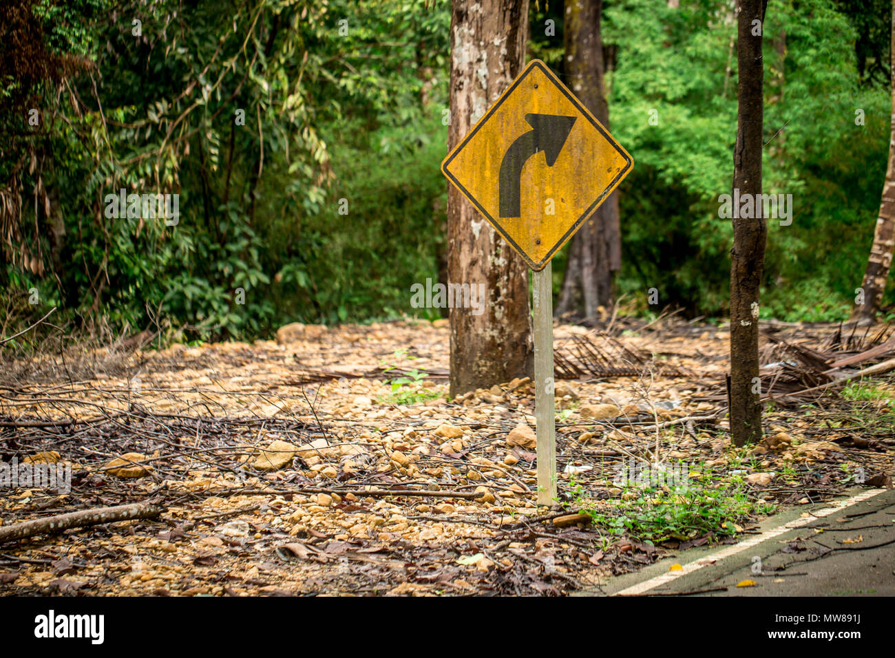 road sign turn in the rain forest Stock Photo - Alamy