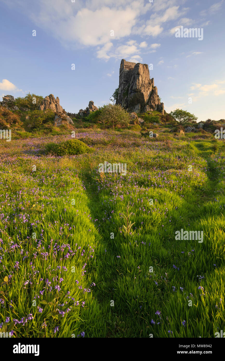 Ray rock hi-res stock photography and images - Alamy