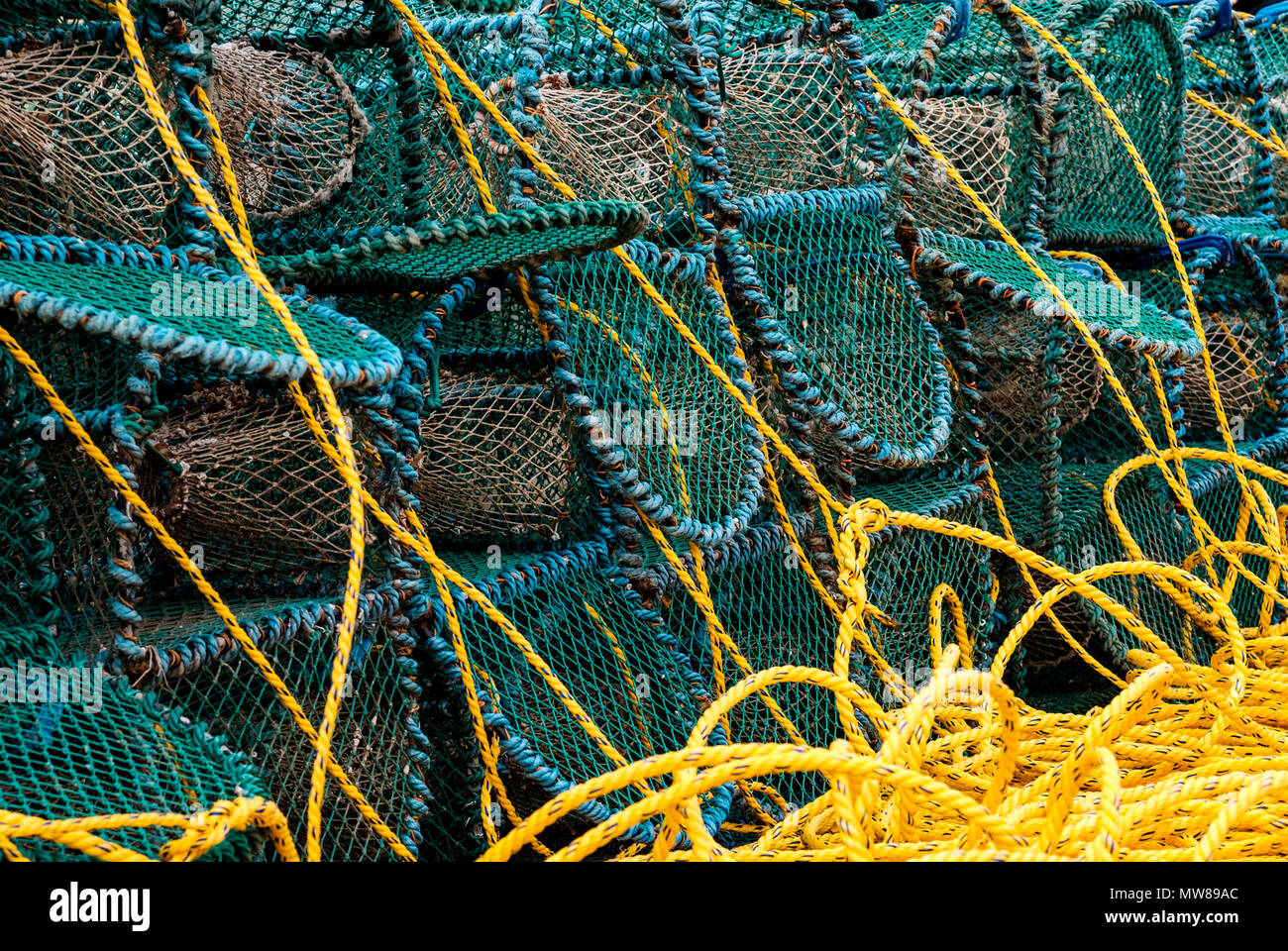 Green crab traps hi-res stock photography and images - Alamy