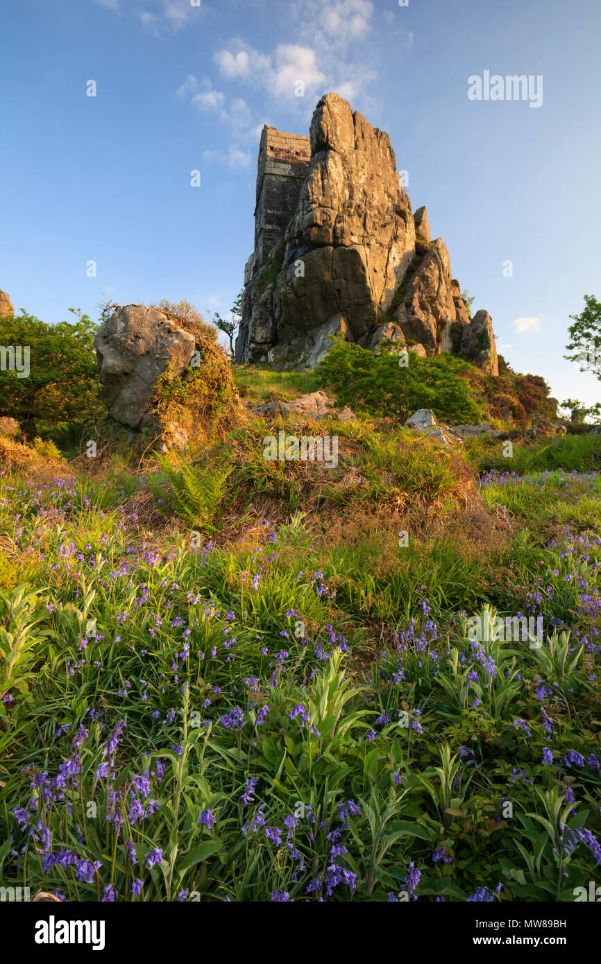 Rock flowers hi-res stock photography and images - Alamy