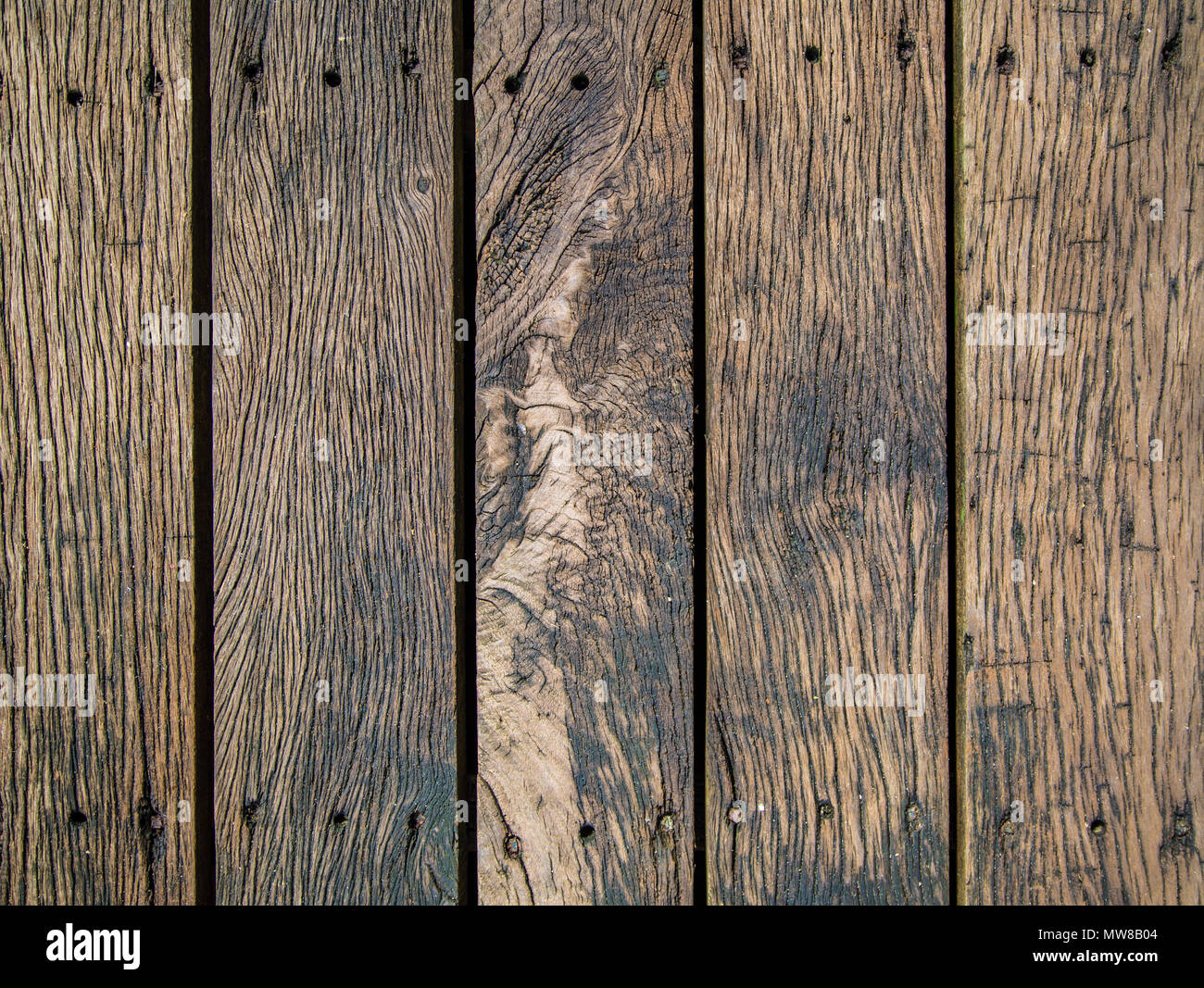 beautiful wood background from the old palm tree , concept, background ...