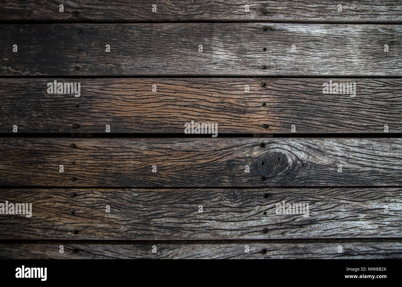 beautiful wood background from the old palm tree , concept, background ...