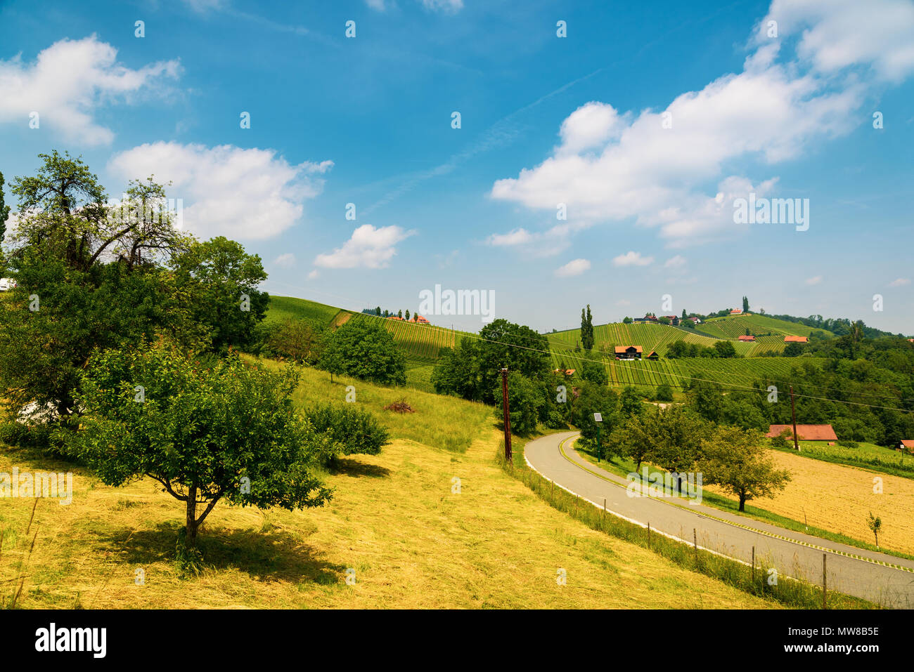Austria Vineyards Sulztal weinstrasse south Styria tourist spot, wine ...