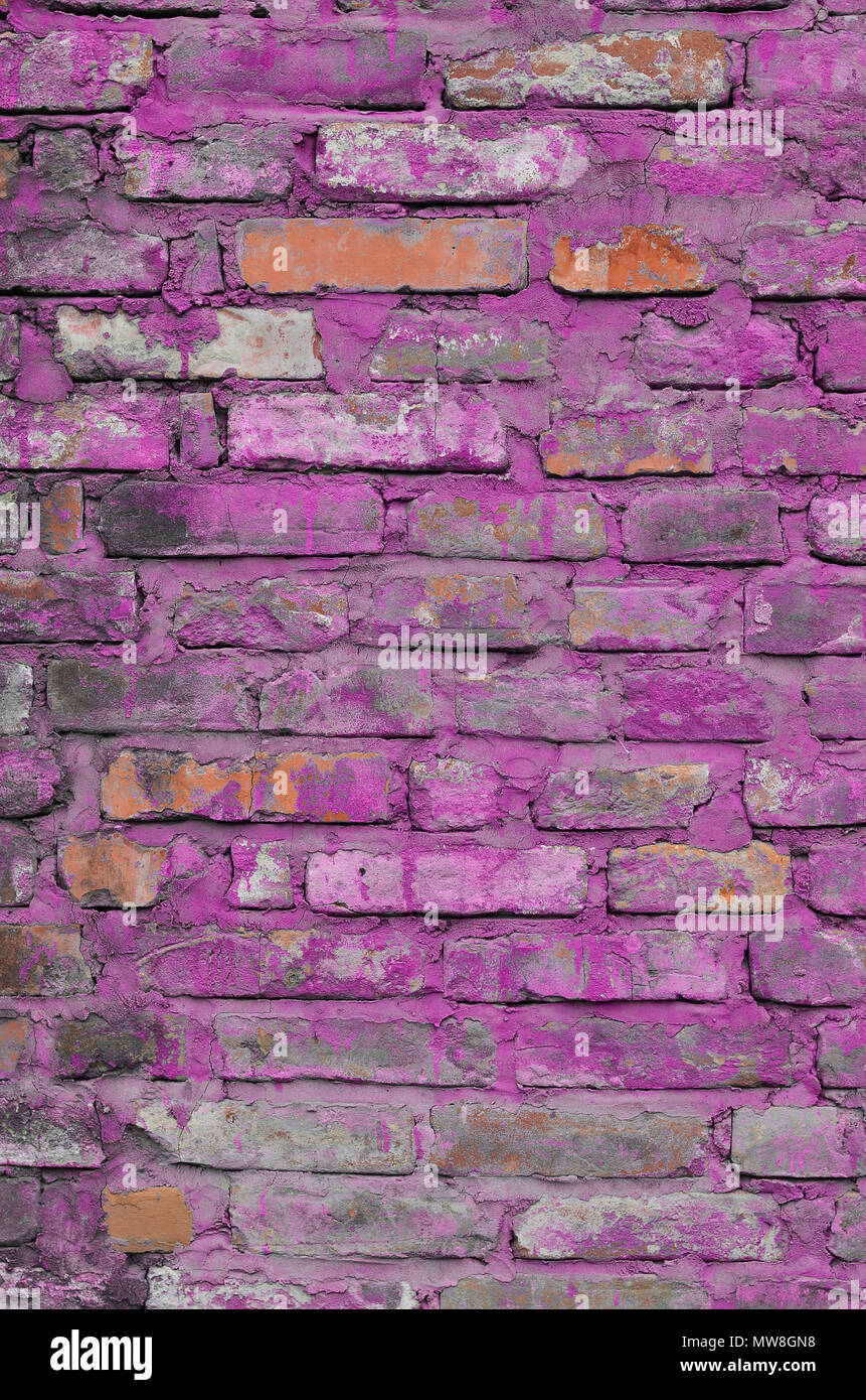 The texture of purple wall from a variety of old and dirty brick ...