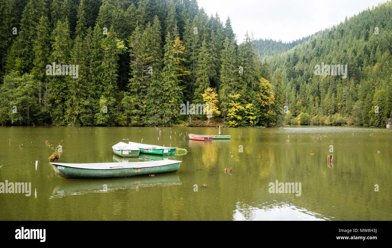 Lacu Rosu, Red Lake, Carpathian Mountains, Moldavia Region, Romania ...