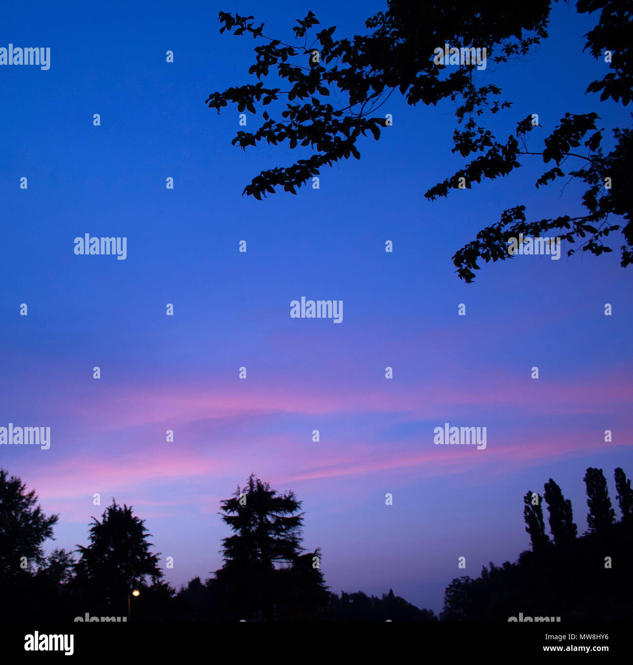 Blue summer sky Stock Photo - Alamy
