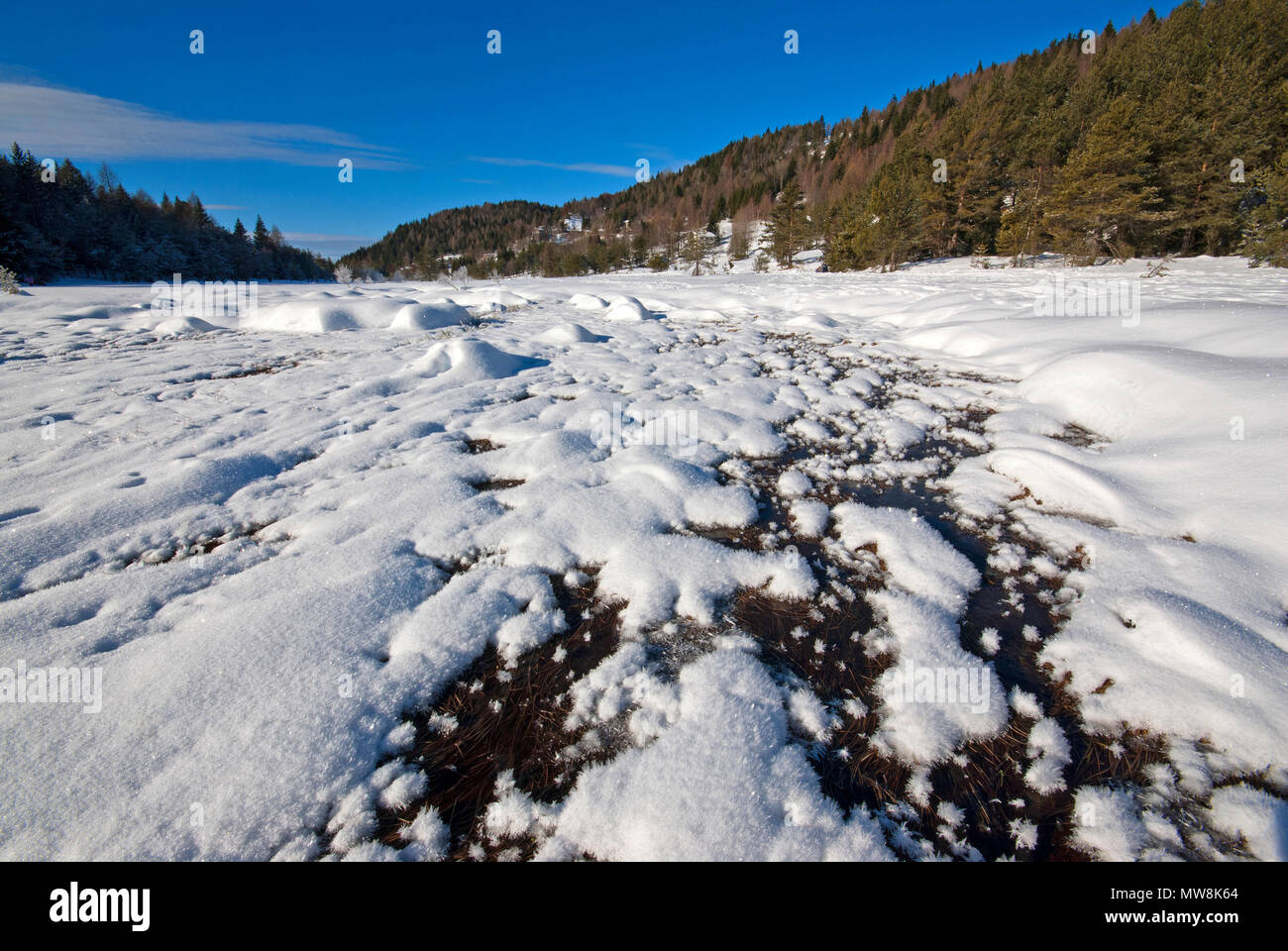 Winter scenery of Pian di Gembro Nature Reserve, Lombardy, Italy Stock ...