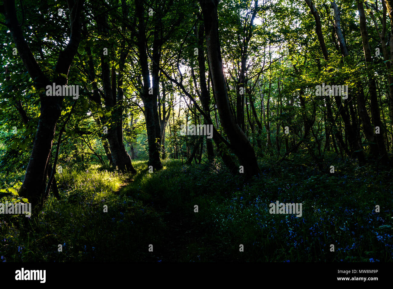 The rising of the north hi-res stock photography and images - Alamy