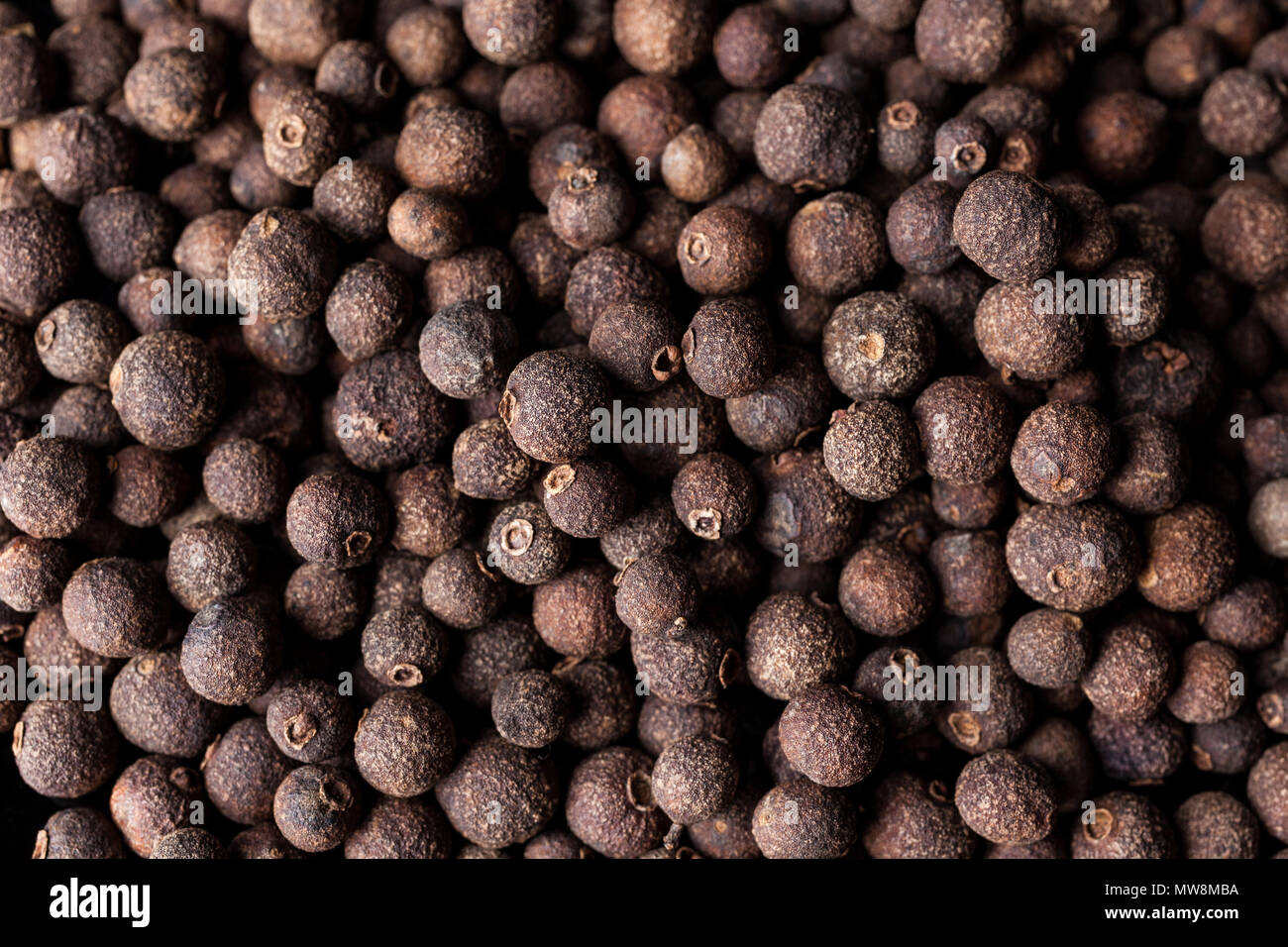 Allspice english pepper berries on from above Stock Photo - Alamy