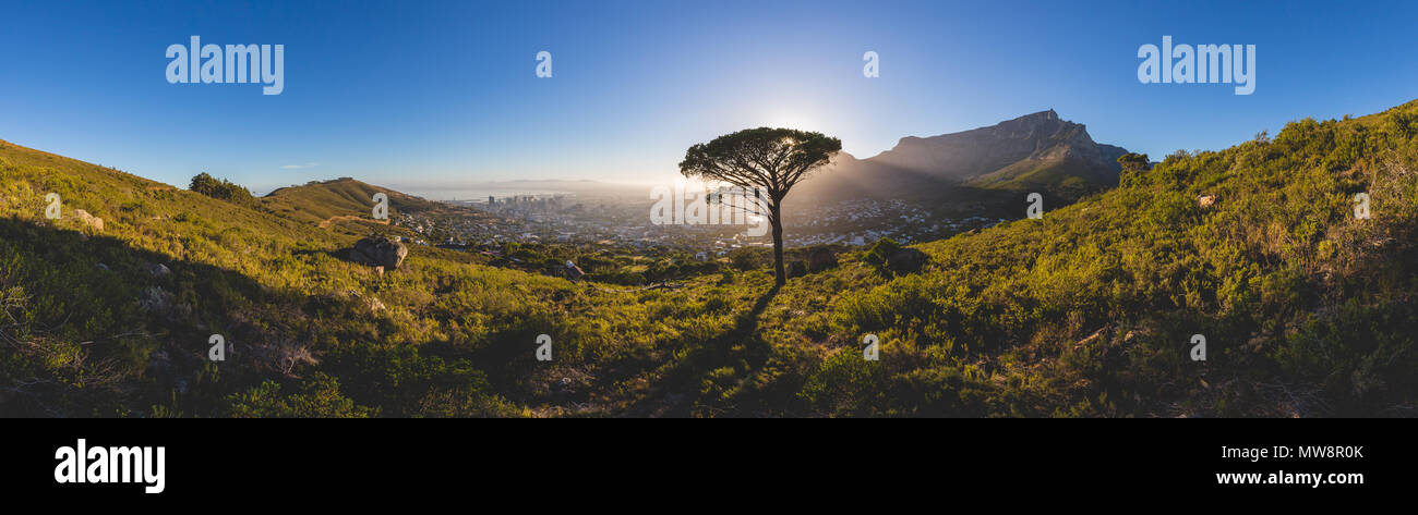 Panorama of Table Mountain in Cape Town at sunrise Stock Photo - Alamy