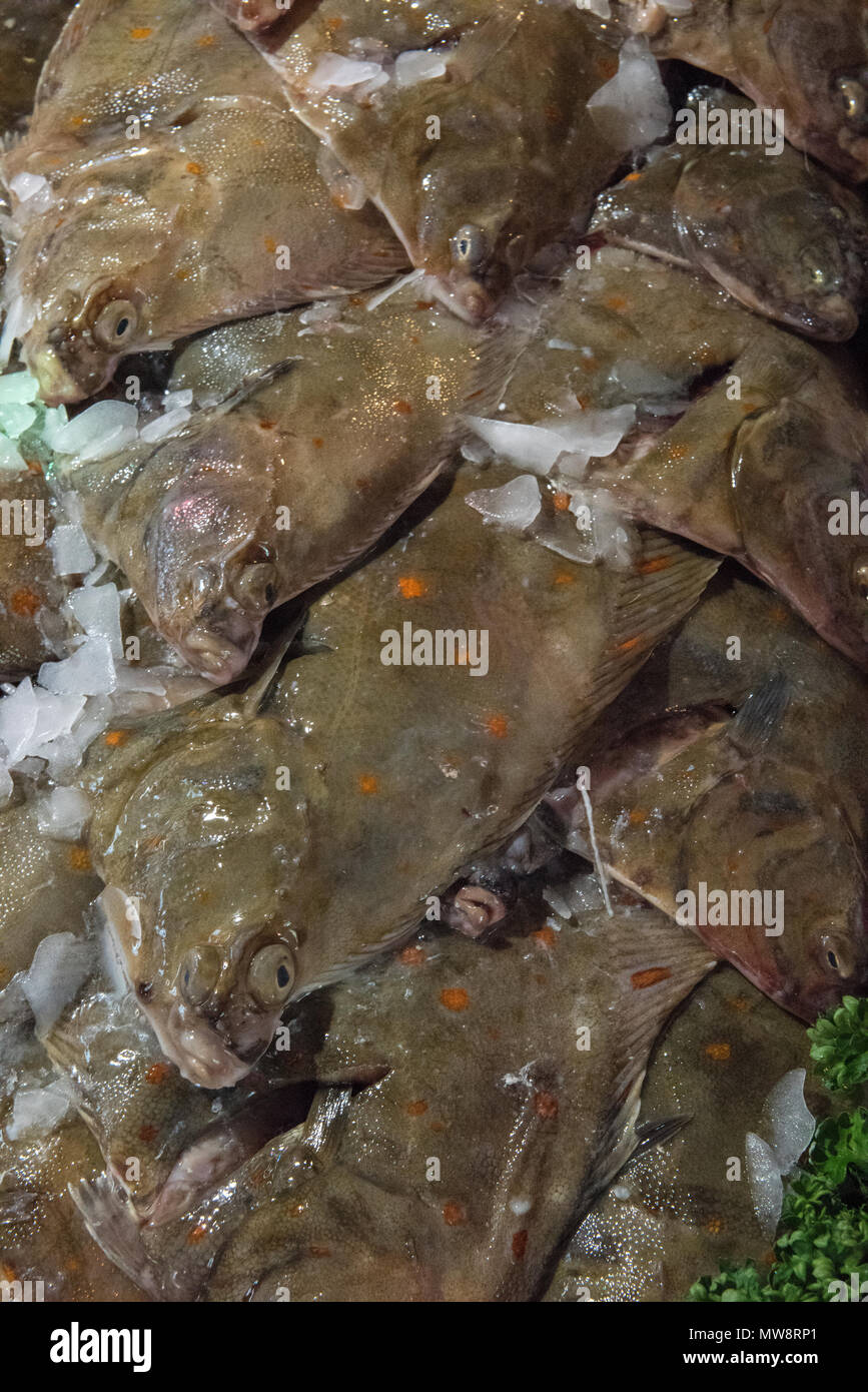 freshly caught plaice on ice at stall on borough market in london ...