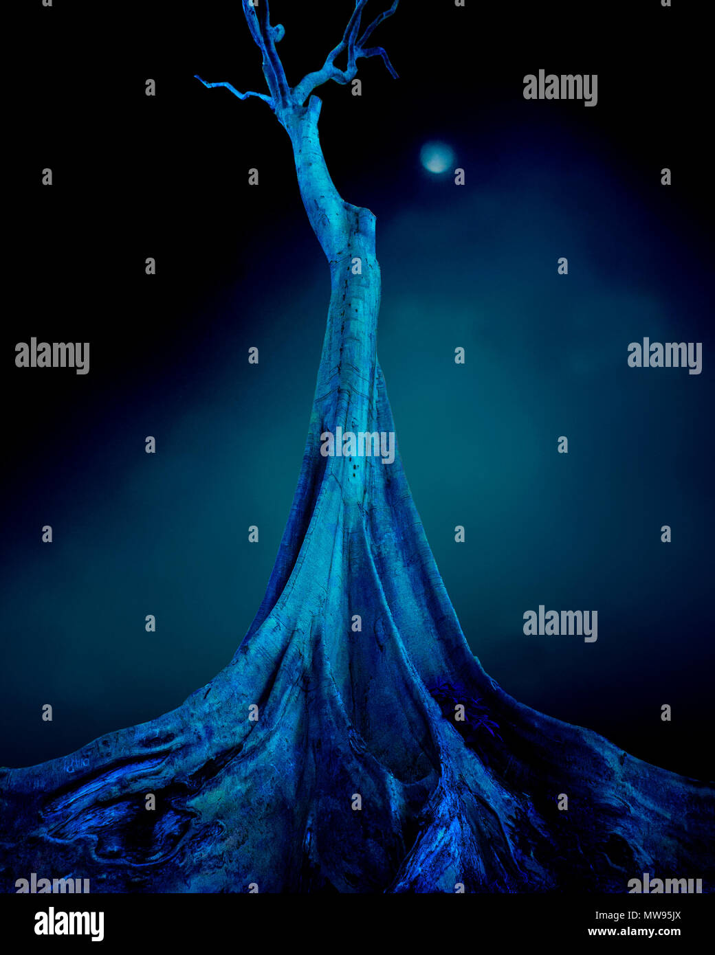 Blue moon art gallery hi-res stock photography and images - Alamy