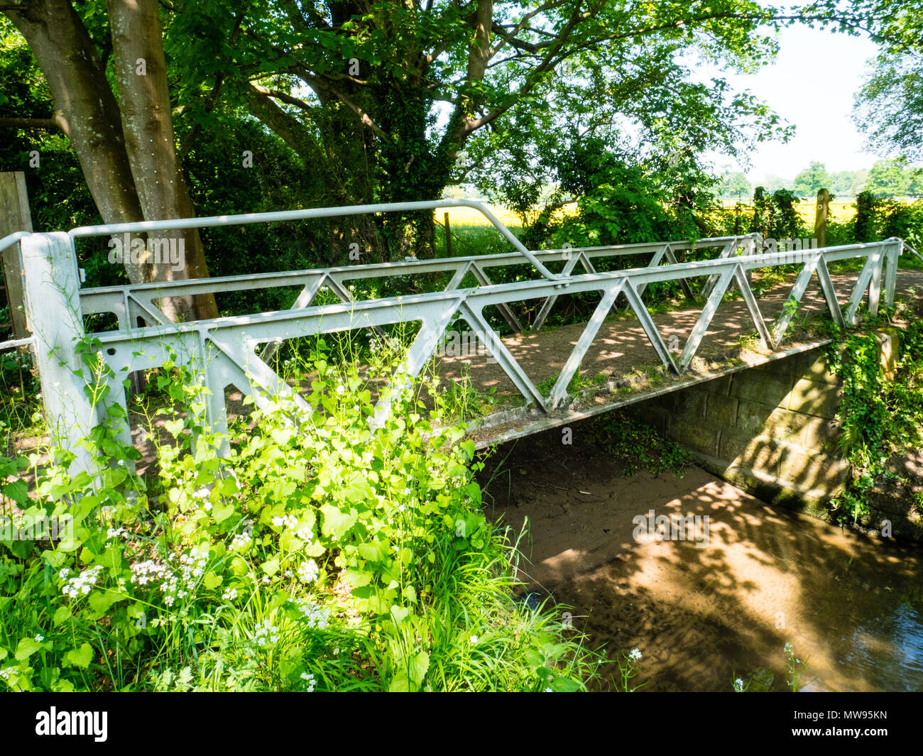 Thames Path, Footpath, River Thames, Maidenhead, Berkshire, England, UK ...
