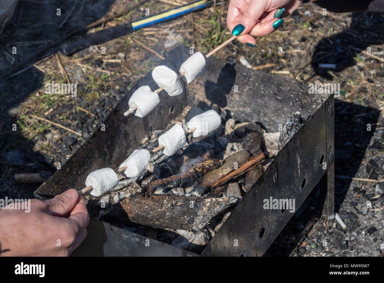 Marshmallow cook at the stake Stock Photo - Alamy