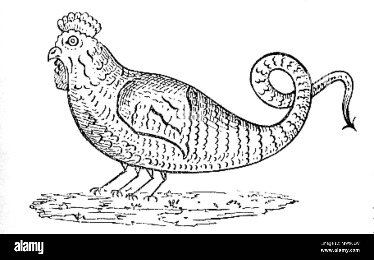 Basilisk myth Black and White Stock Photos & Images - Alamy