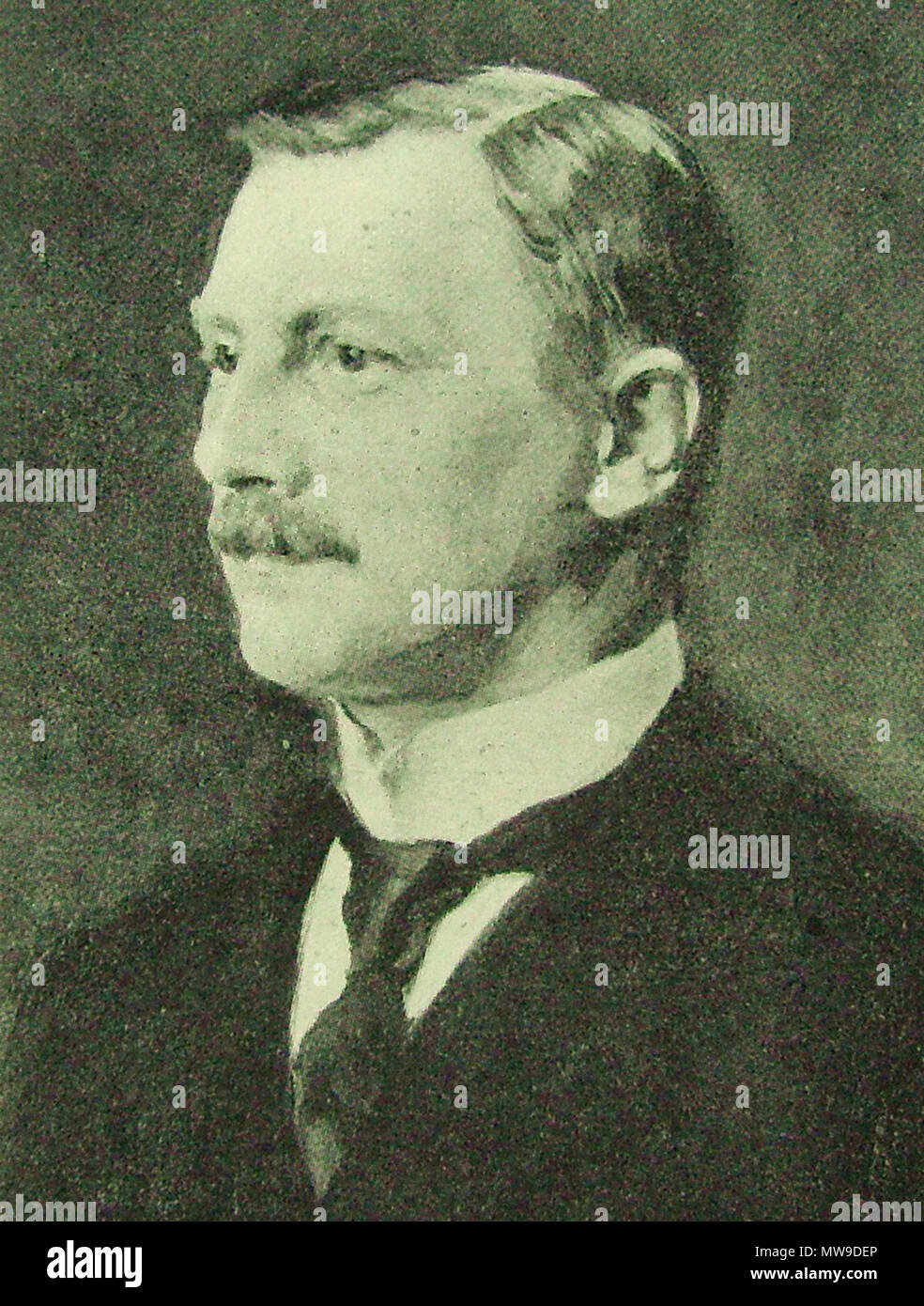 . English: Picture of painting of Axel Carlander, Swedish industrialist ...