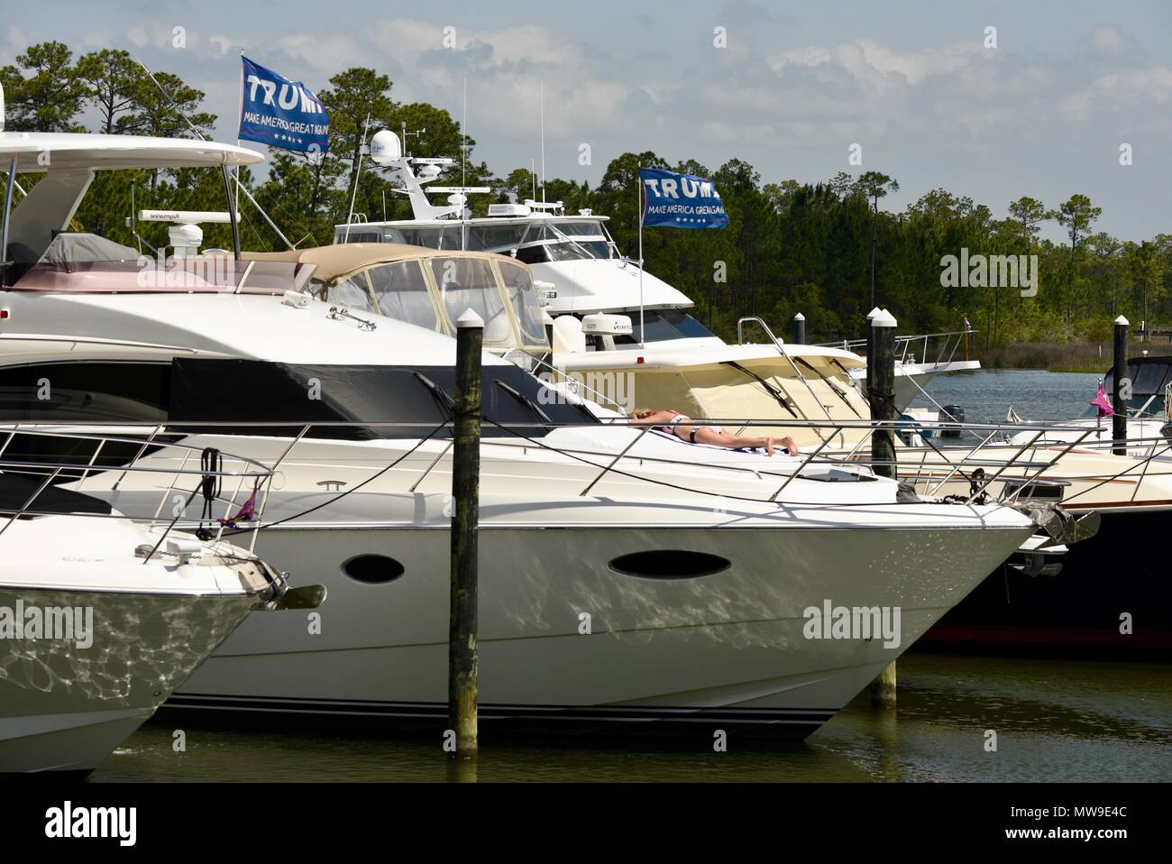 President Donald Trump "Make America Great Again" flags fluttering in ...