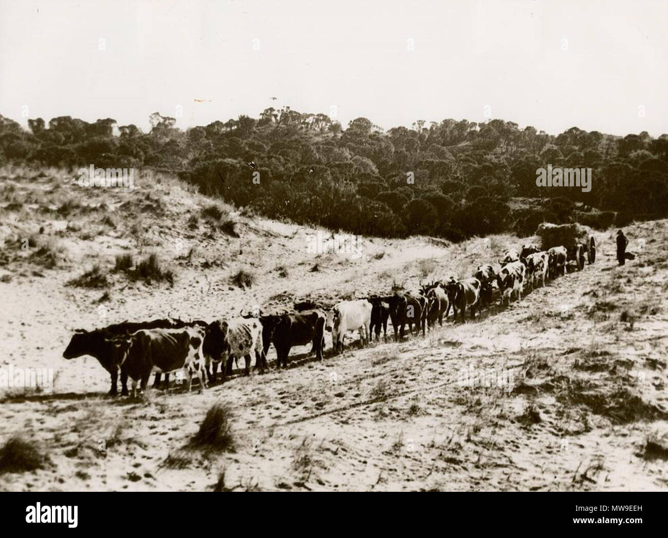 Loaded wagon hi-res stock photography and images - Alamy
