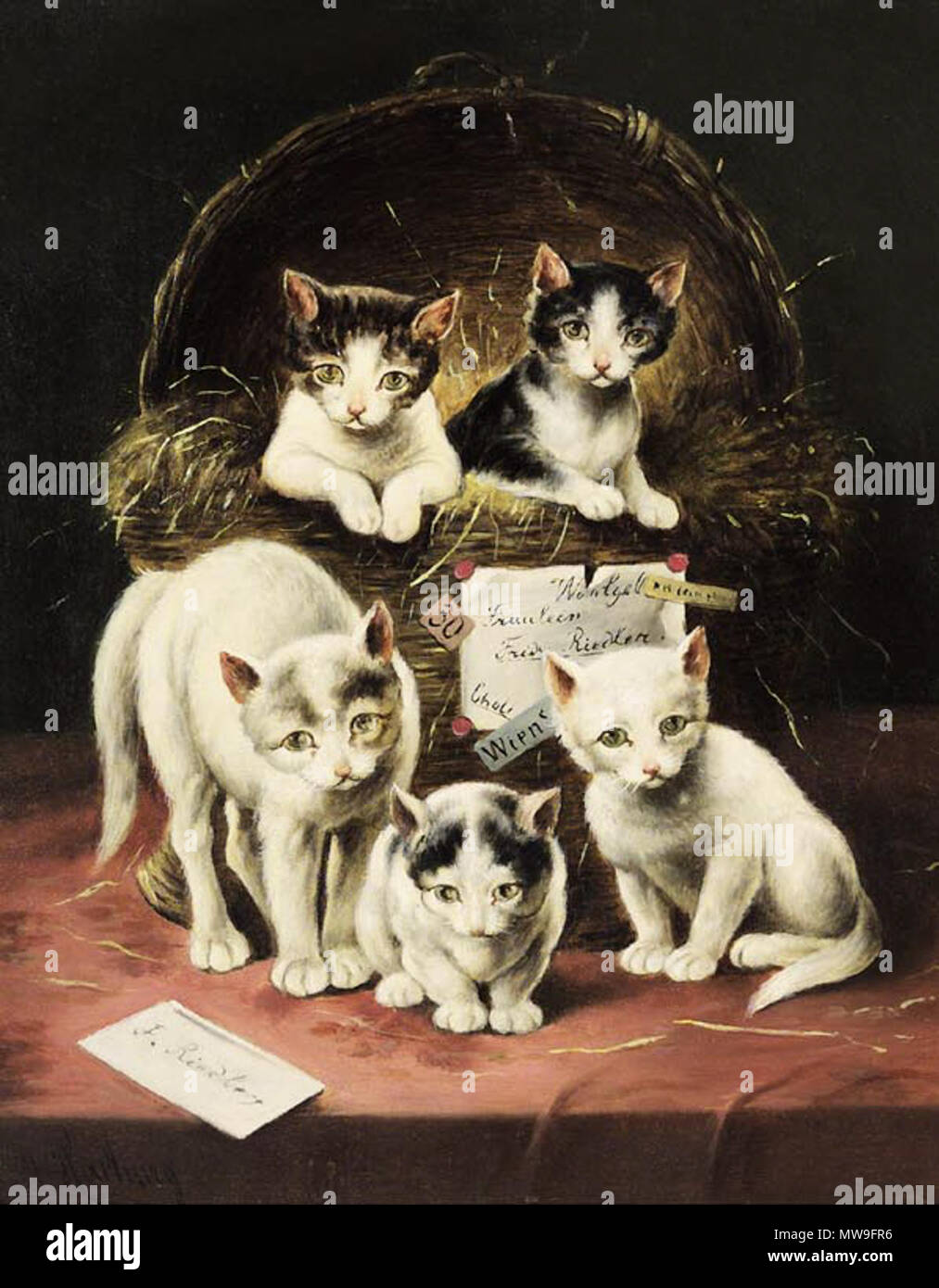 überraschung überraschung hi-res stock photography and images - Alamy