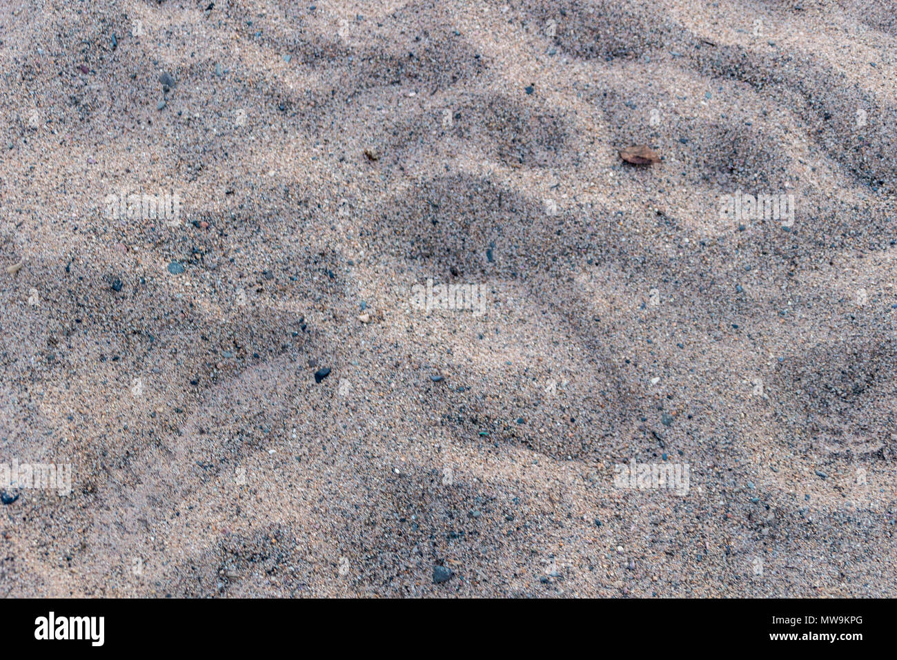 Sand on the beach close up, background, texture Stock Photo - Alamy