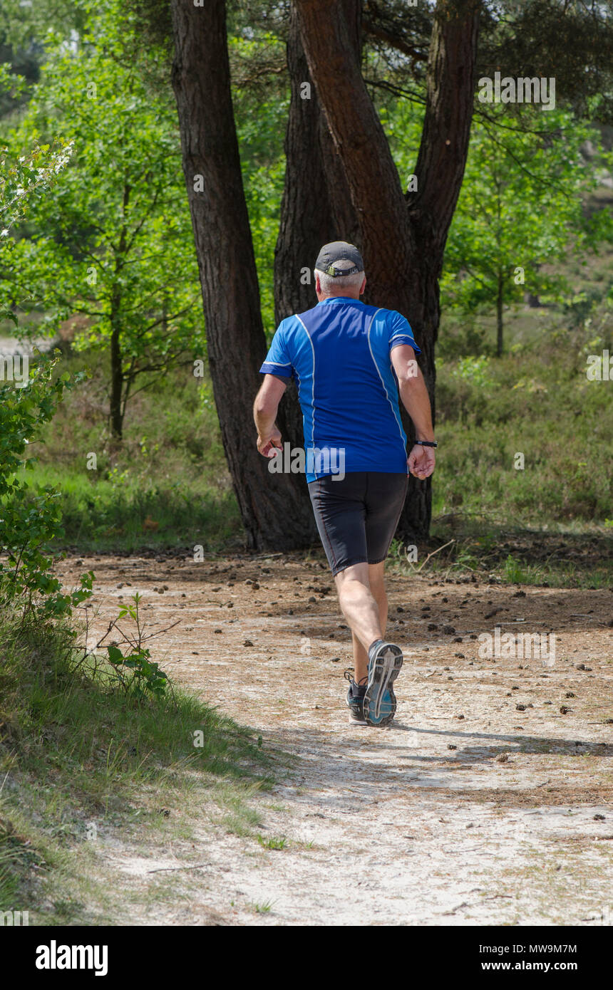 Senior man jogging in nature park, Netherlands Stock Photo - Alamy