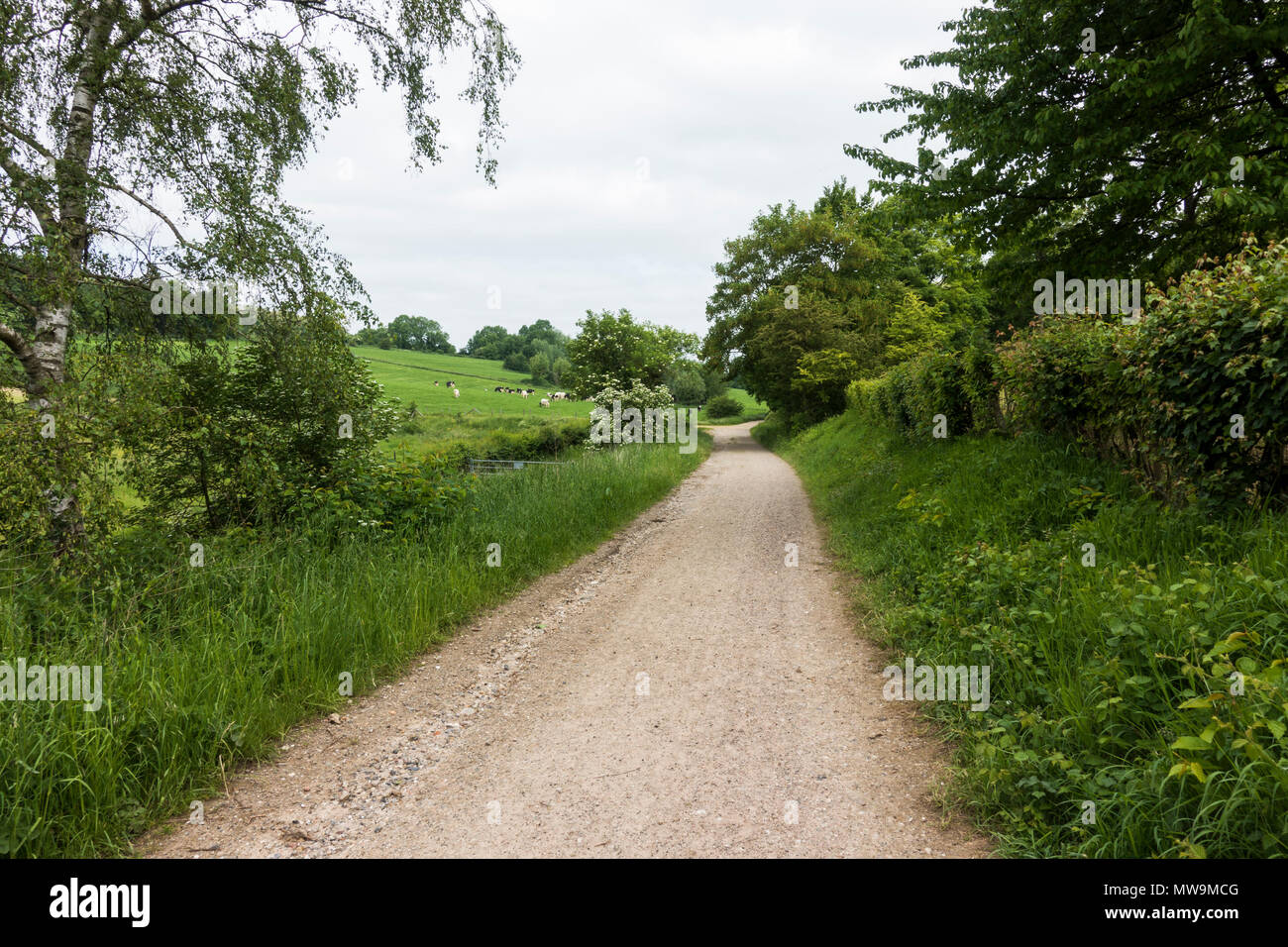 Sunken lane hi-res stock photography and images - Alamy