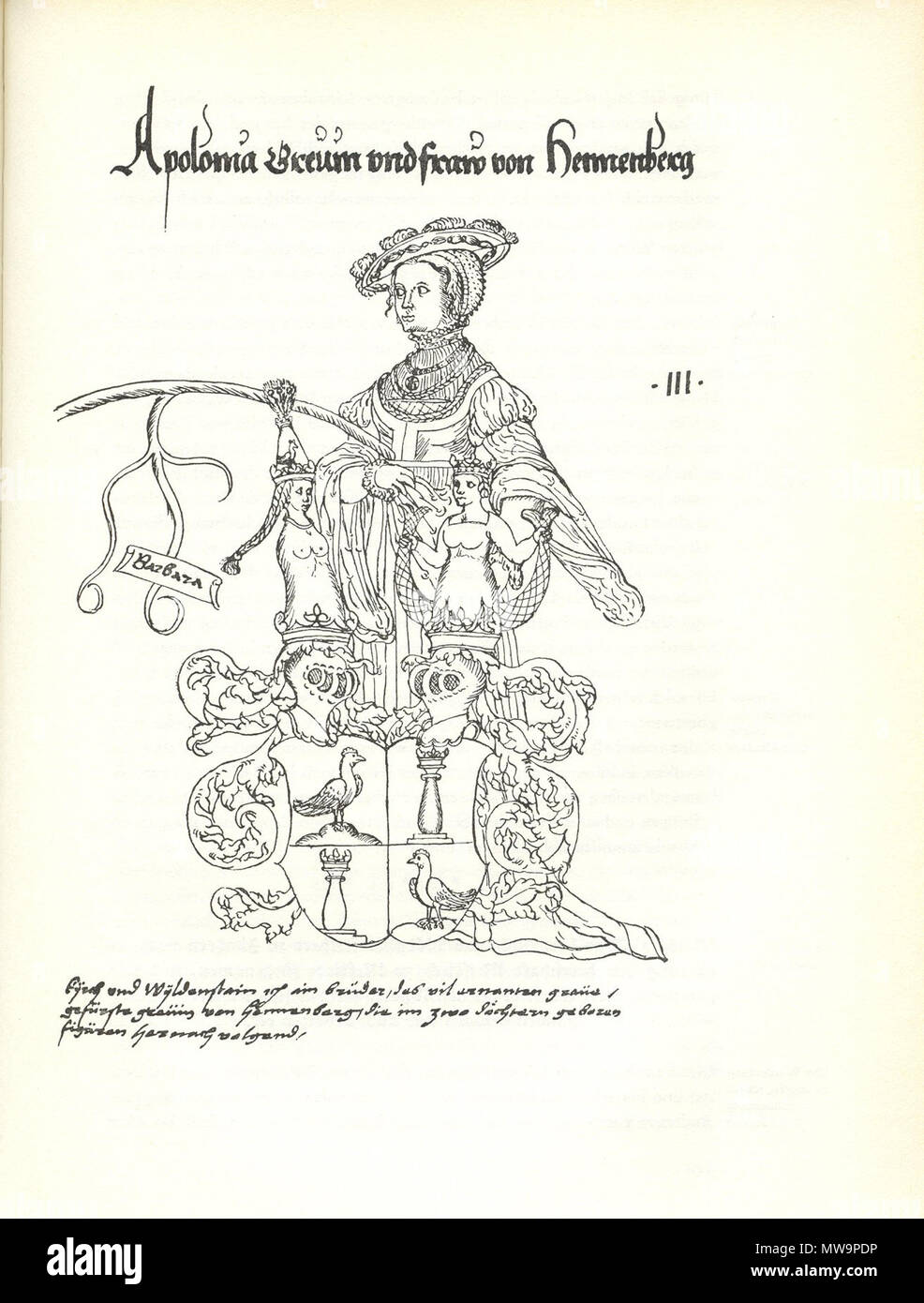 593a hi-res stock photography and images - Alamy