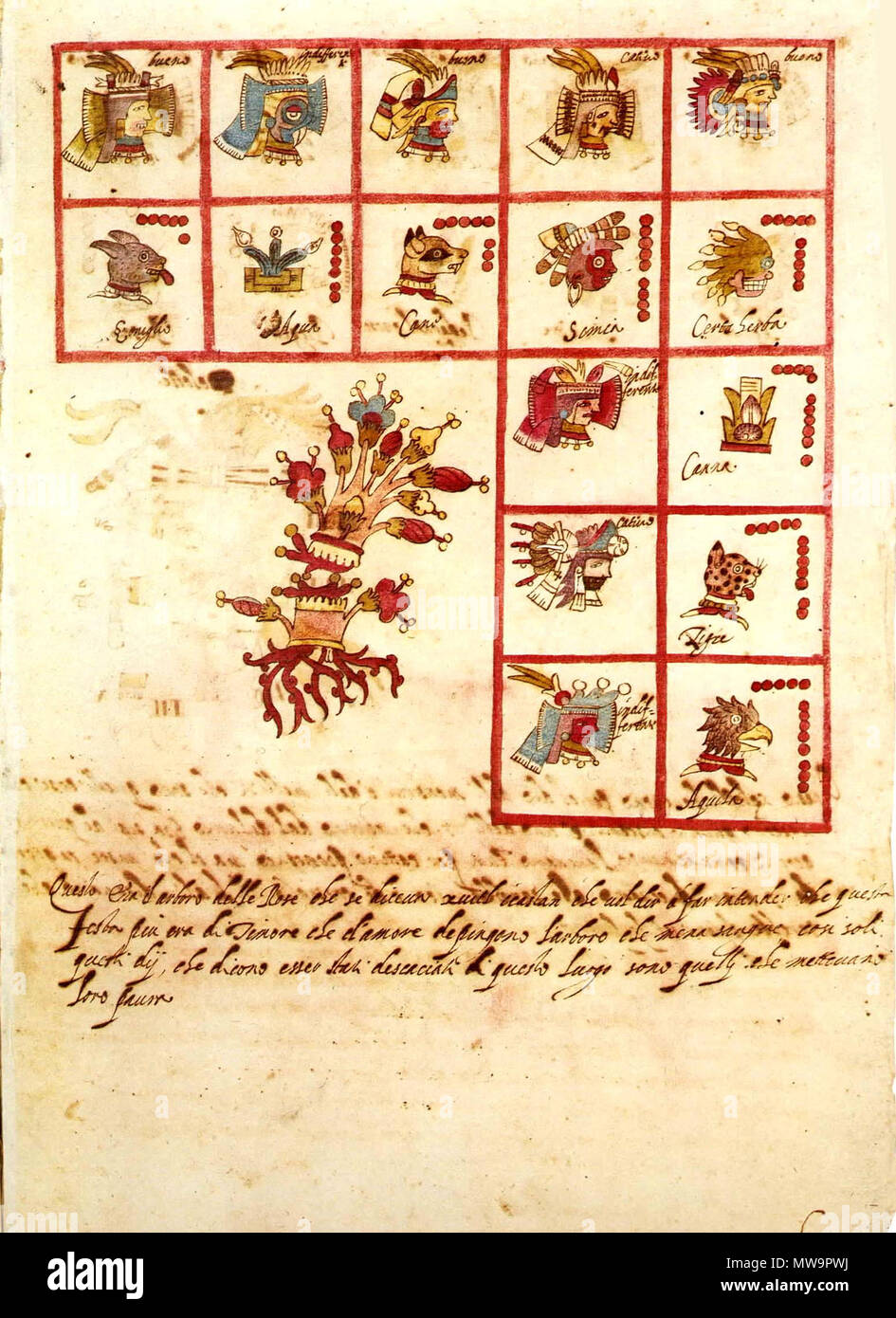 Codex rios hi-res stock photography and images - Alamy