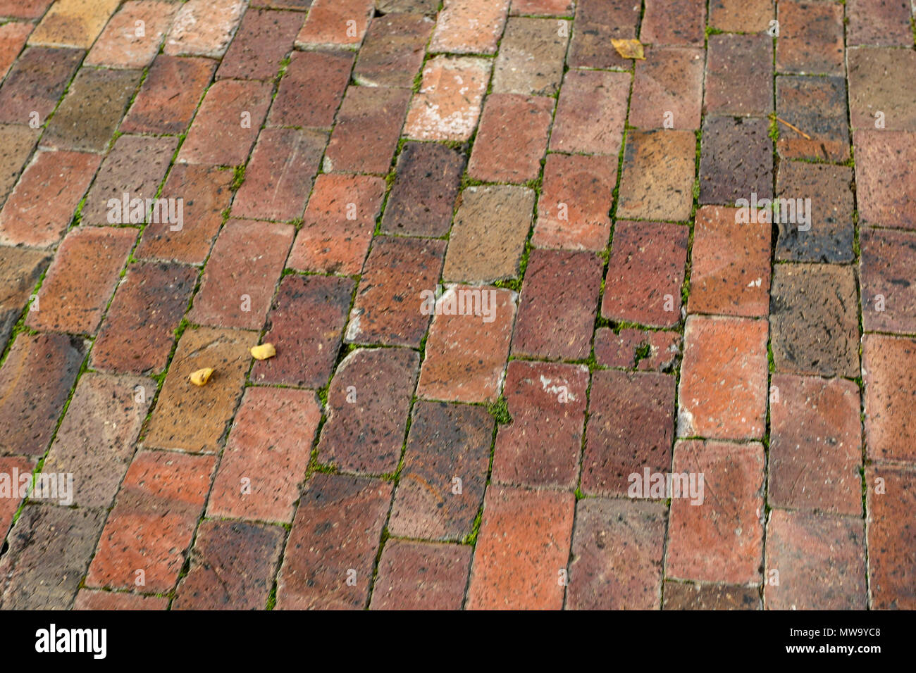 Brick bond patterns hi-res stock photography and images - Alamy