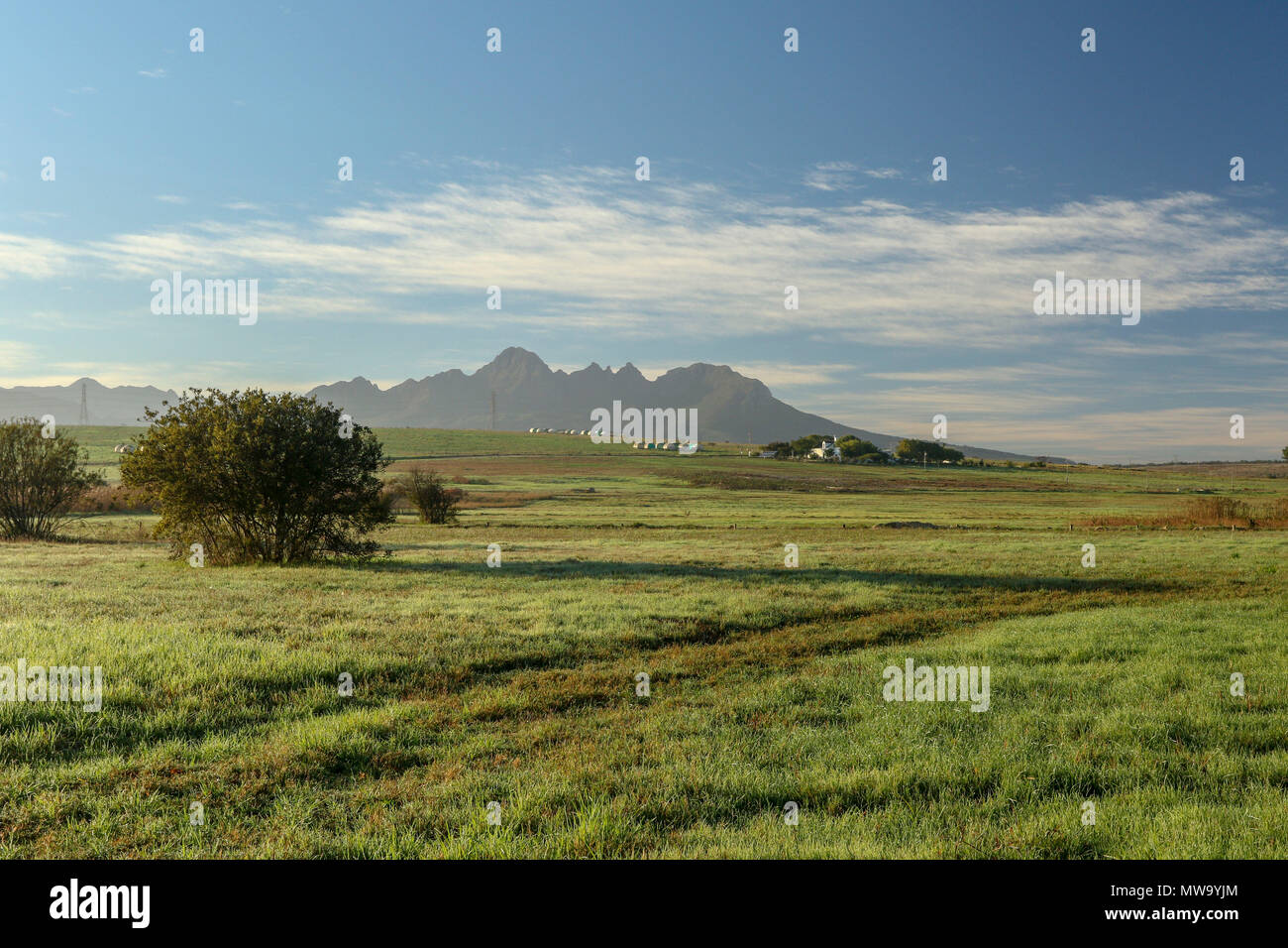 Grassland farm landscape, Stellenbosch, garden route, south africa ...