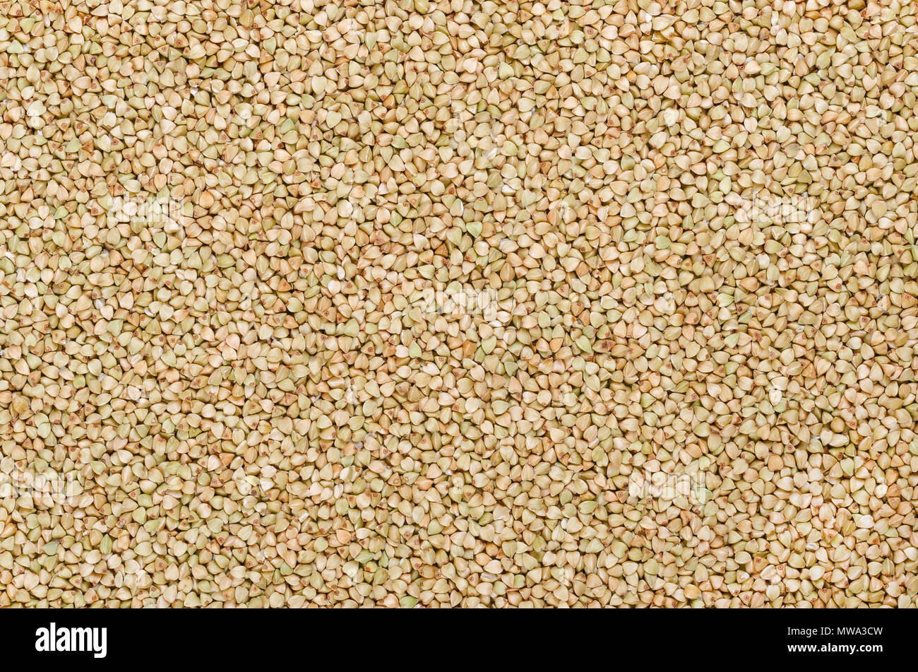 Hulled common buckwheat grains, surface and background. Gluten free ...