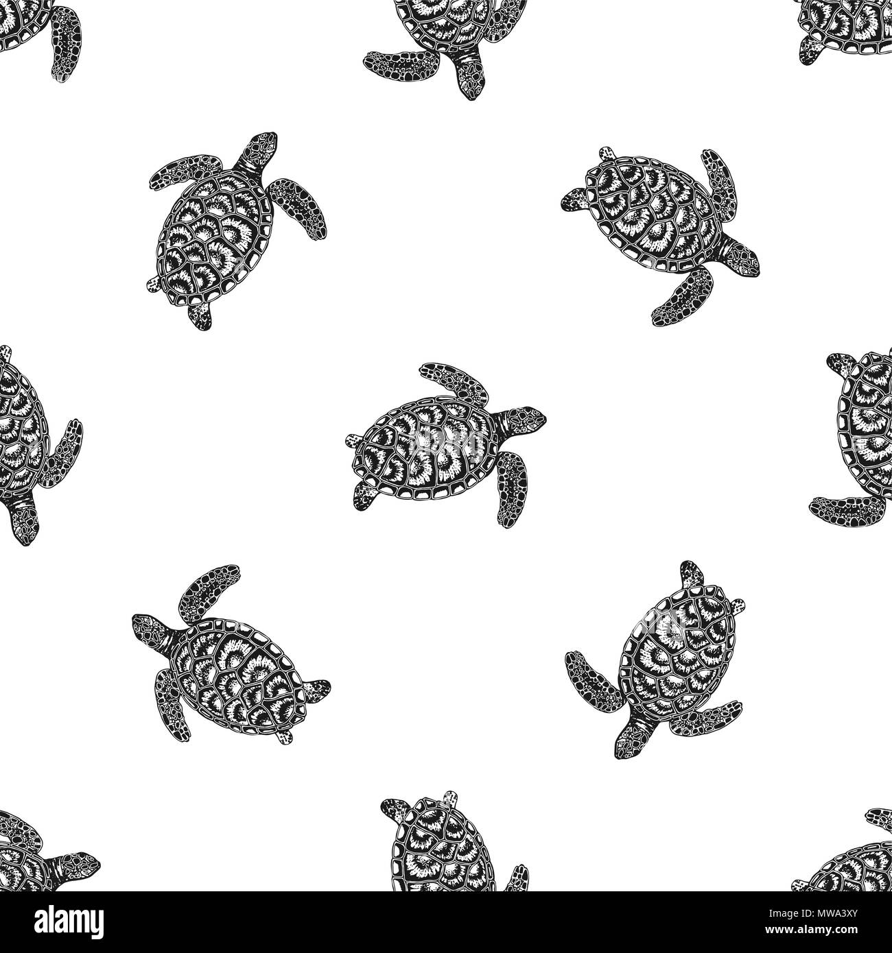 Illustration Turtles Stock Photos & Illustration Turtles Stock Images ...